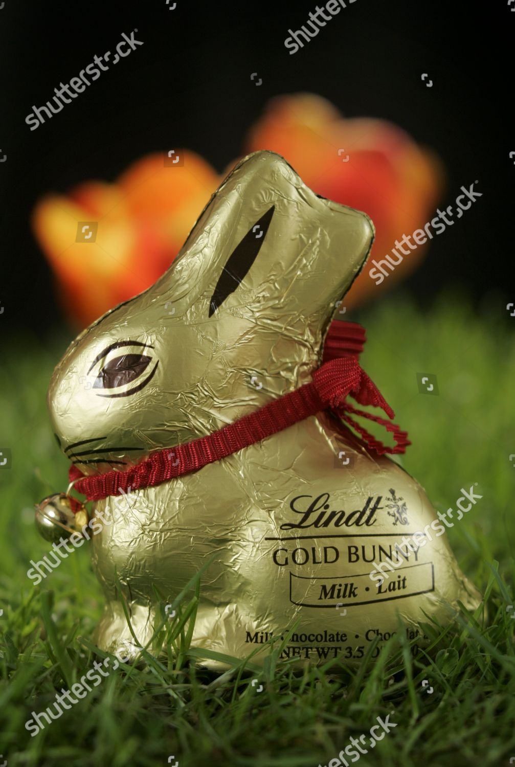 Lindt Gold Chocolate Bunny Editorial Stock Photo - Stock Image ...