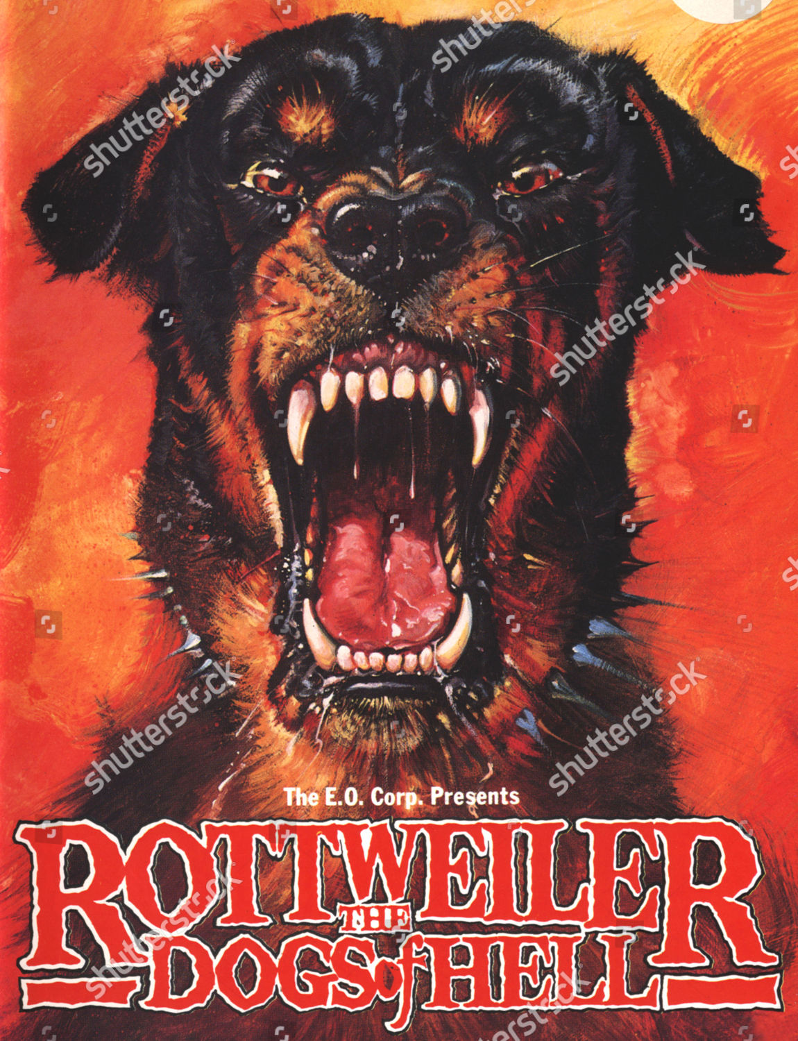 Rottweiler Dogs Hell 1982 Editorial Stock Photo - Stock Image ...