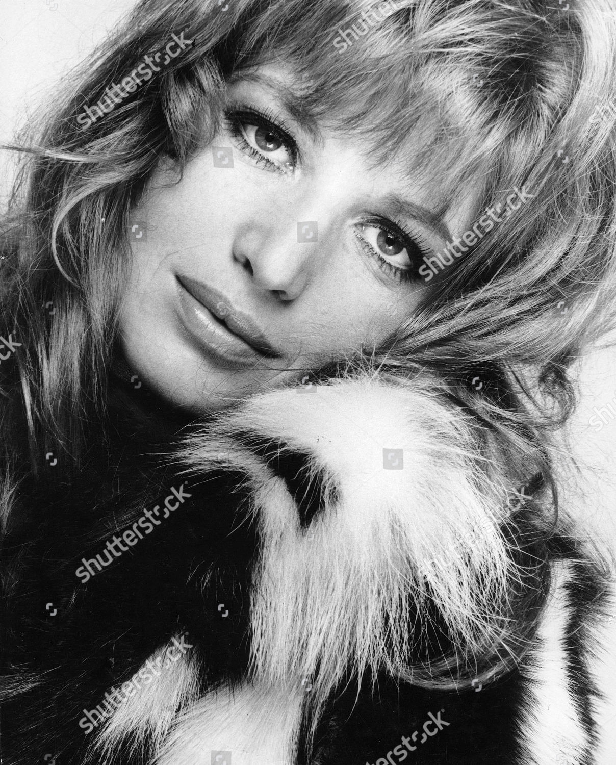 Monica Vitti Editorial Stock Photo - Stock Image | Shutterstock
