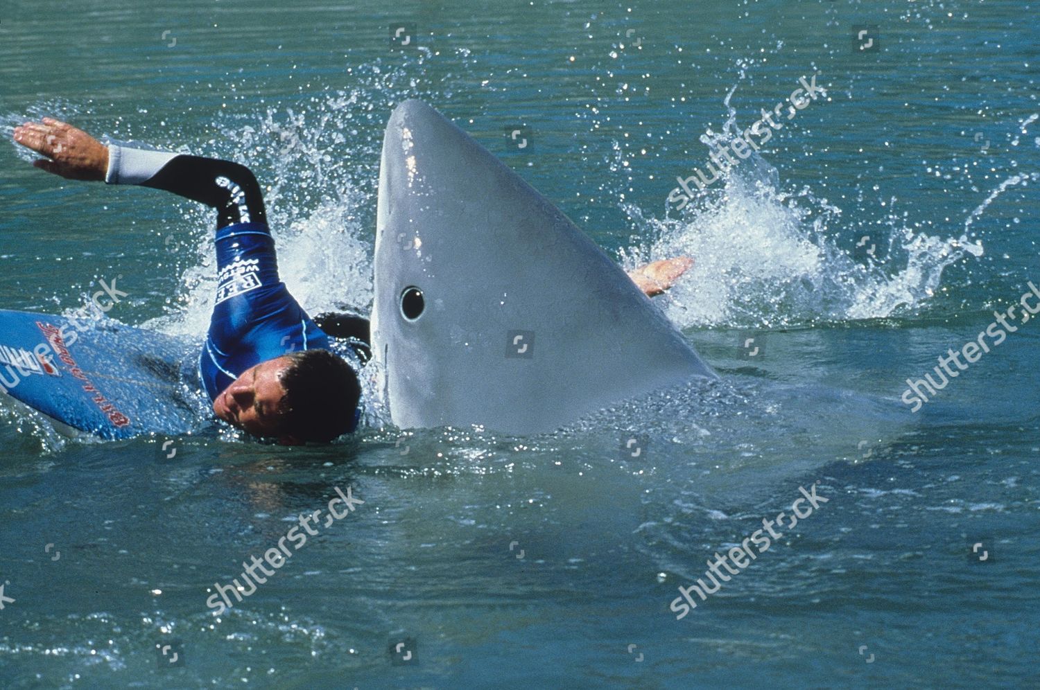 Shark Attack 2 2000 Editorial Stock Photo - Stock Image | Shutterstock