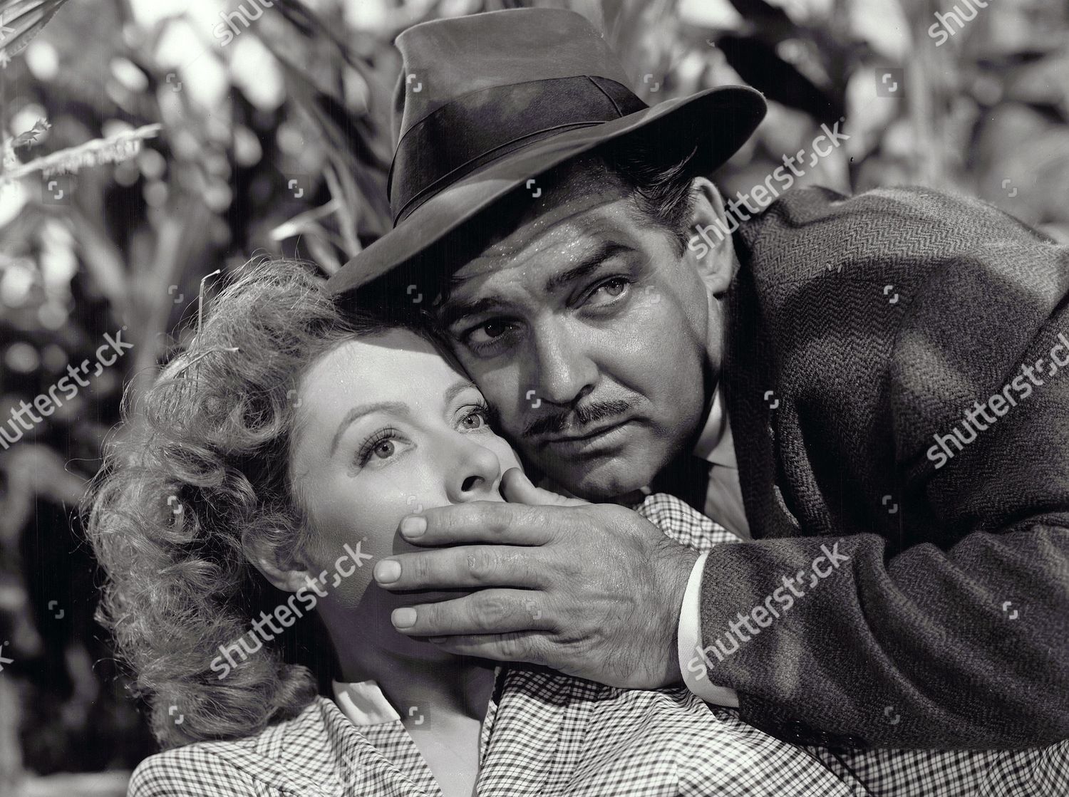 Greer Garson Clark Gable Editorial Stock Photo - Stock Image | Shutterstock
