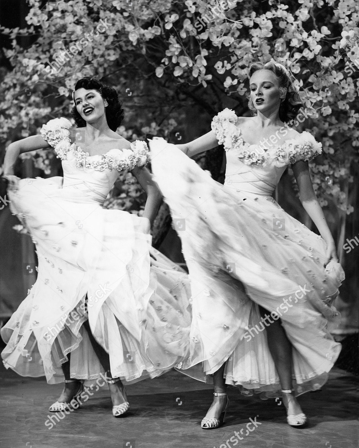 Cyd Charisse Dee Turnell Editorial Stock Photo - Stock Image | Shutterstock
