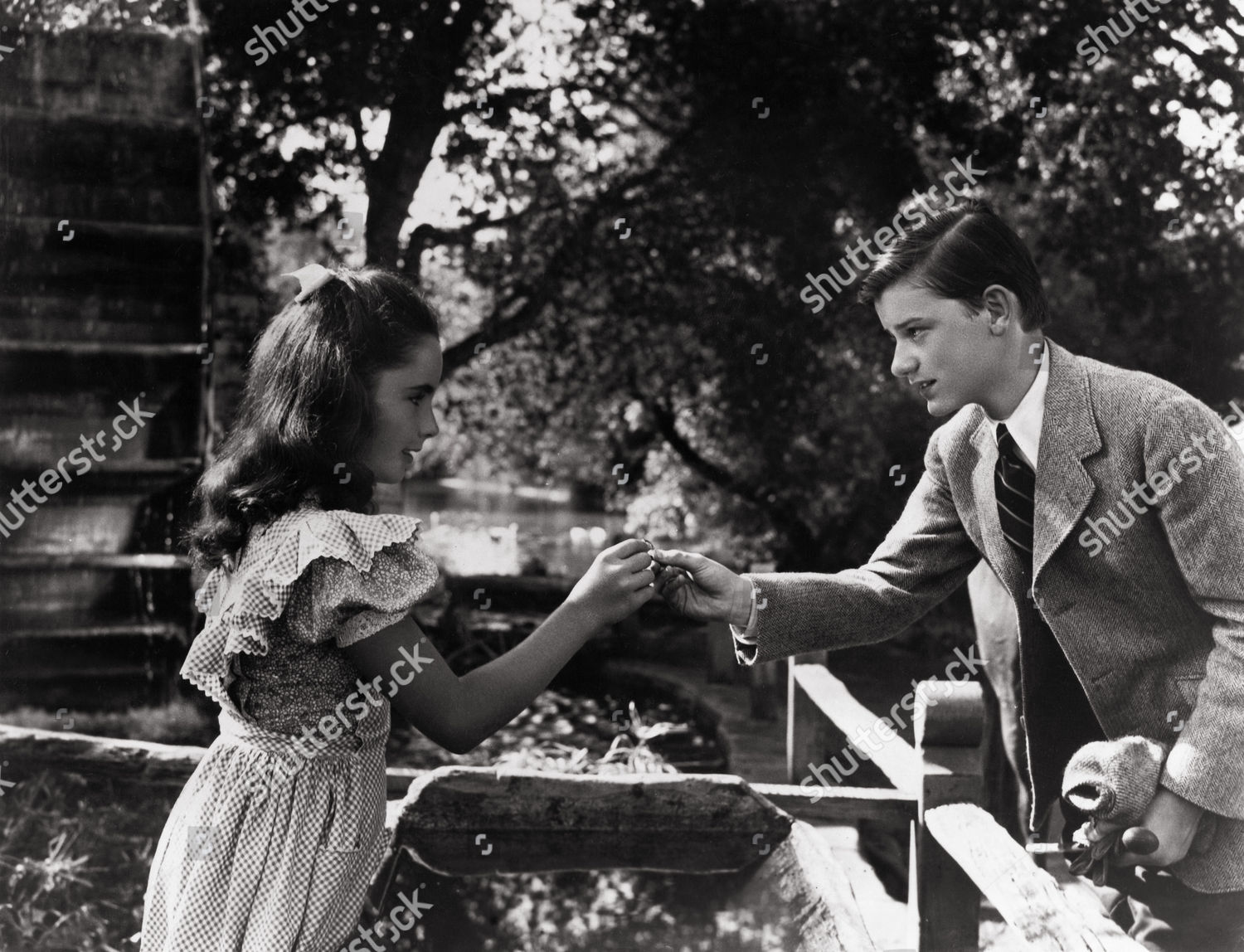 Elizabeth Taylor Roddy Mcdowall Editorial Stock Photo - Stock Image ...