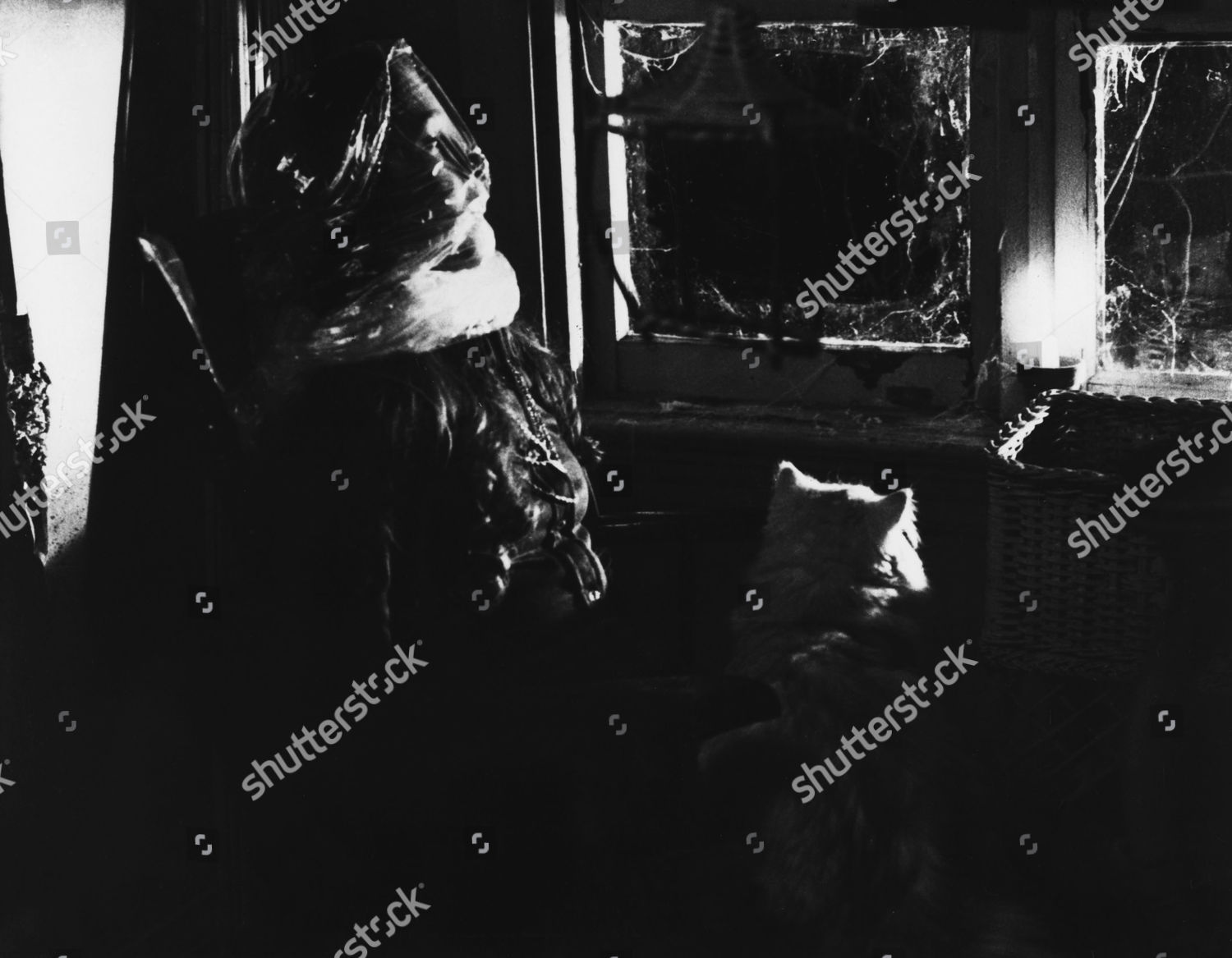 Lynne Griffin Editorial Stock Photo - Stock Image | Shutterstock