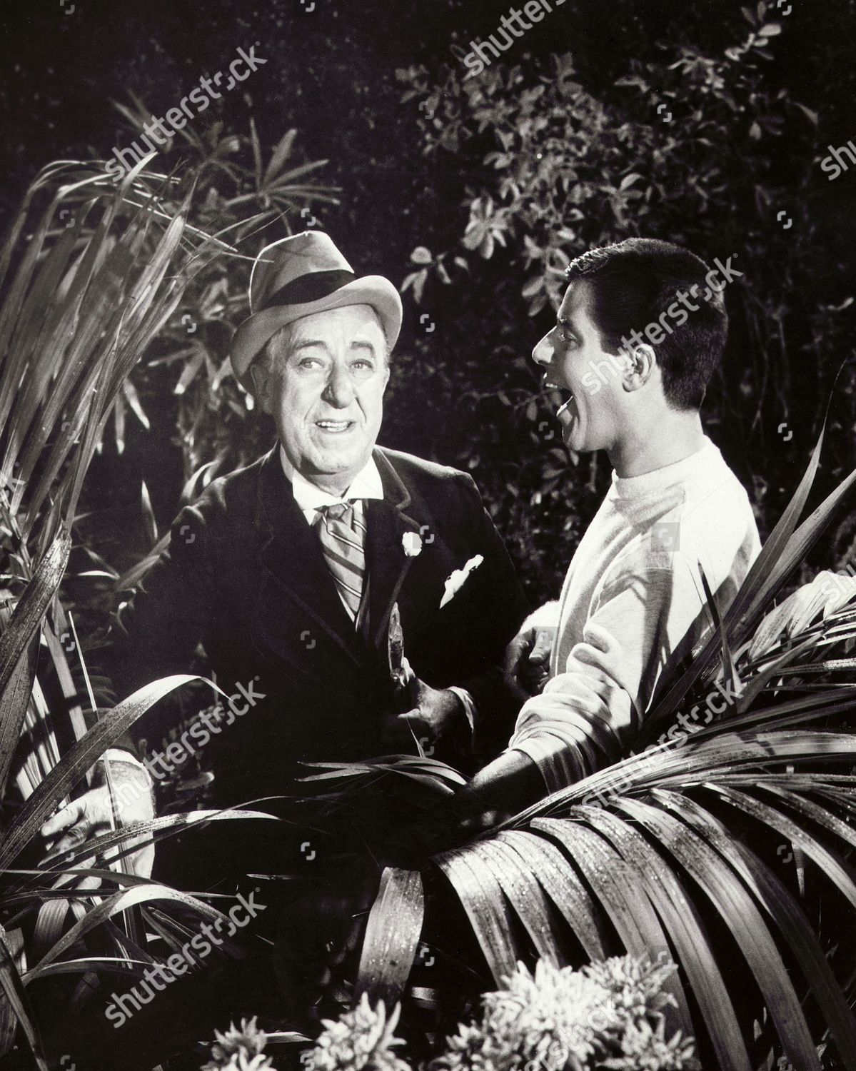 Ed Wynn Jerry Lewis Editorial Stock Photo - Stock Image | Shutterstock