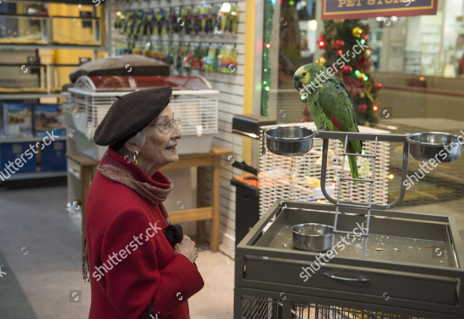 Jean Hamilton Editorial Stock Photo - Stock Image | Shutterstock