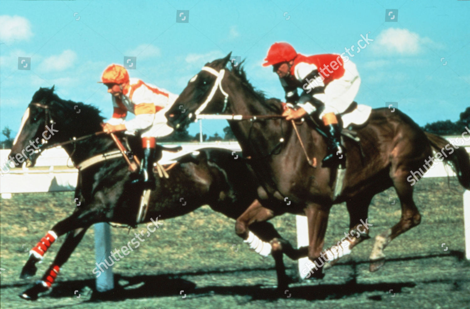 Phar Lap 1983 Editorial Stock Photo - Stock Image | Shutterstock