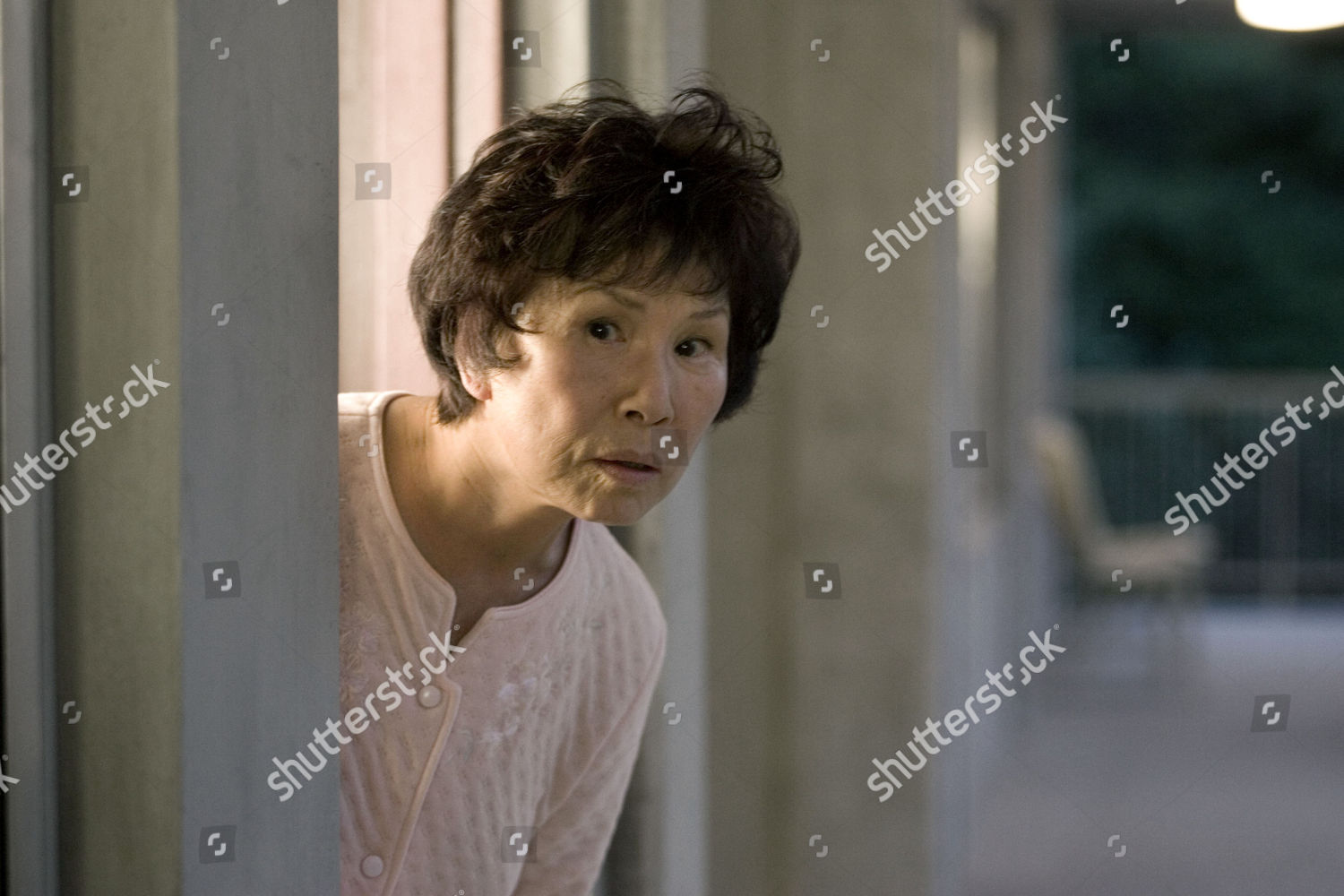 June Kyoko Lu Editorial Stock Photo - Stock Image | Shutterstock