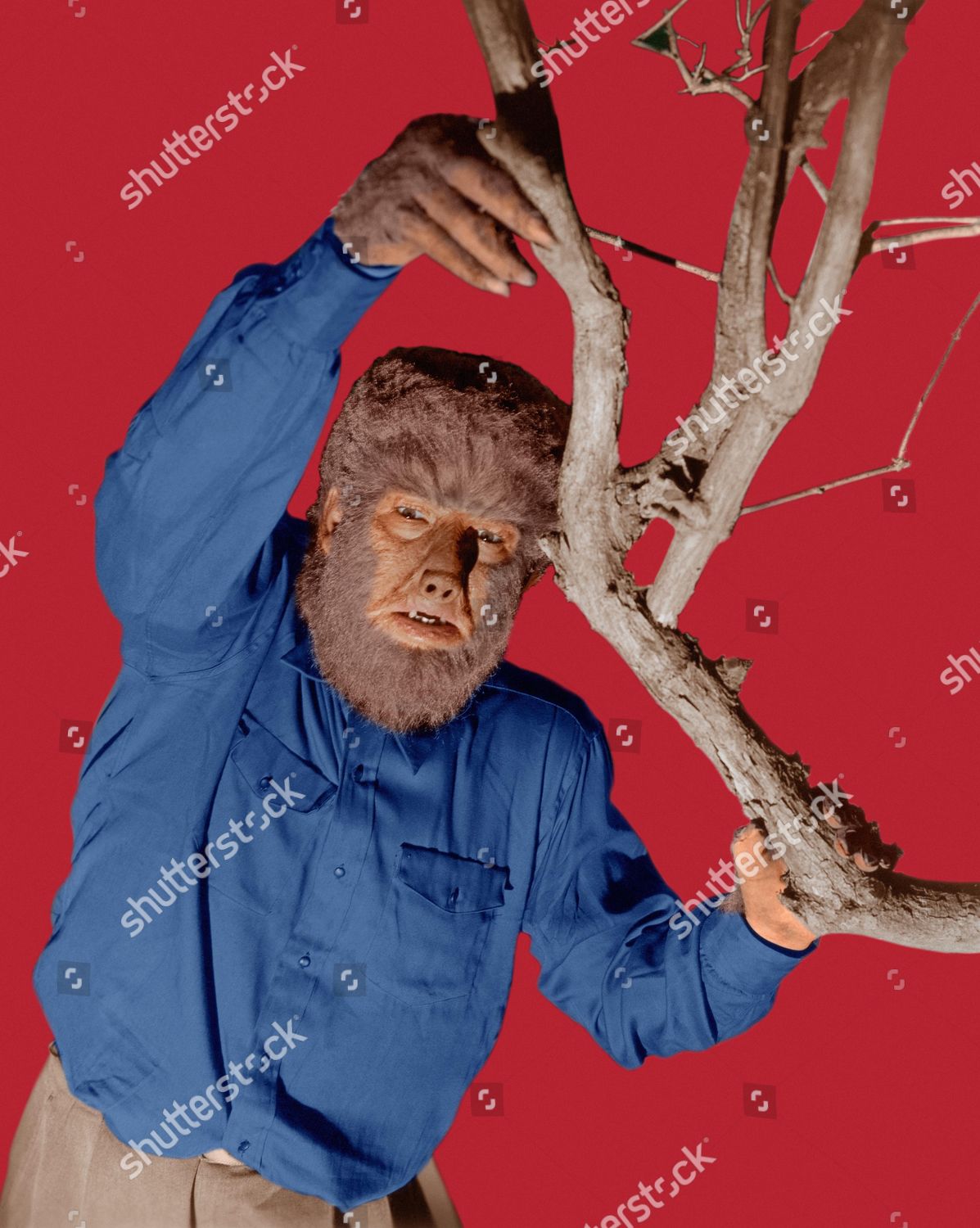 Lon Chaney Jr Editorial Stock Photo - Stock Image | Shutterstock
