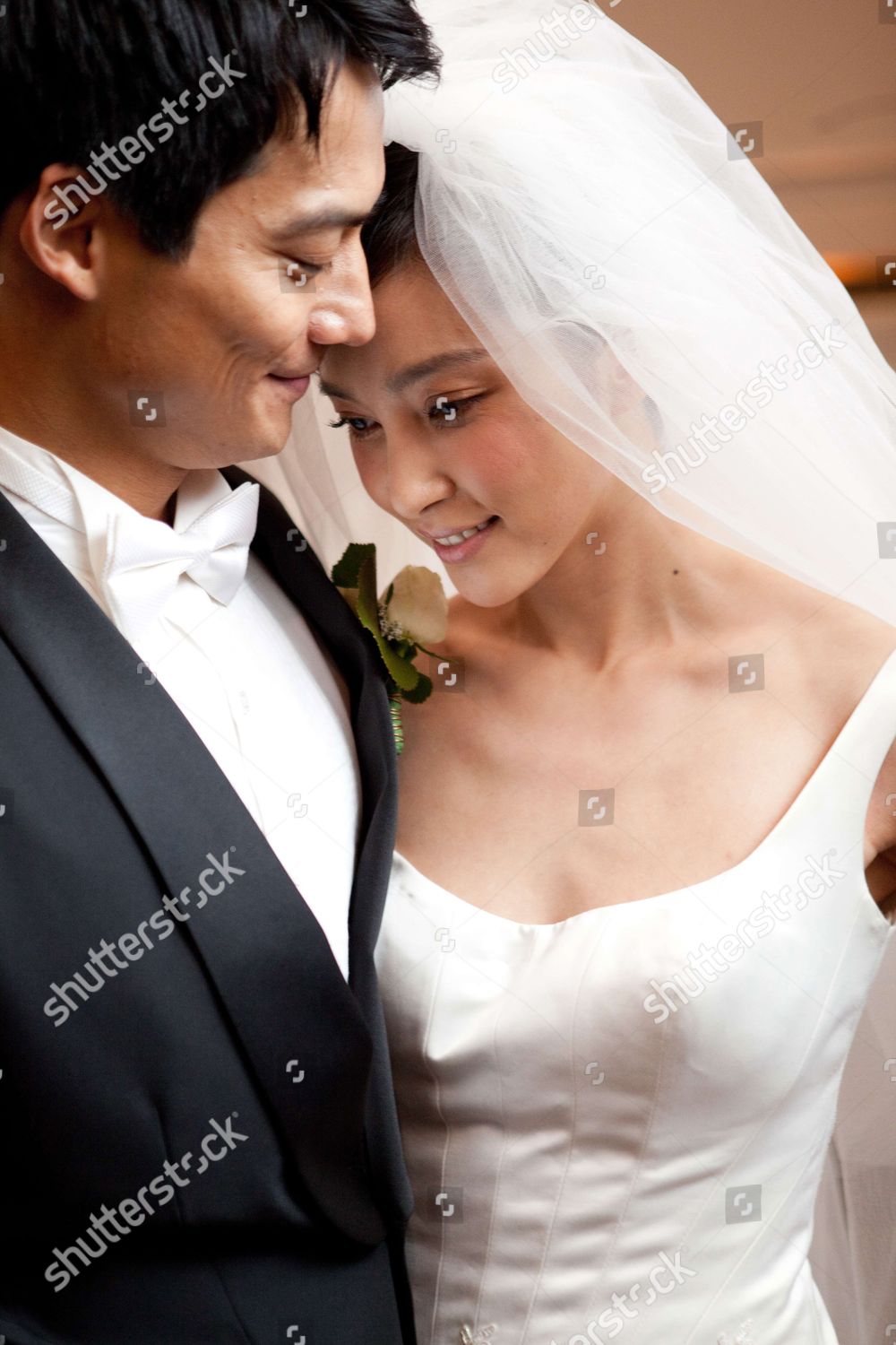 Snow Flower Secret Fan 2011 Editorial Stock Photo - Stock Image ... Snow Flower Secret Fan 2011 Editorial Stock Photo - Stock Image ...