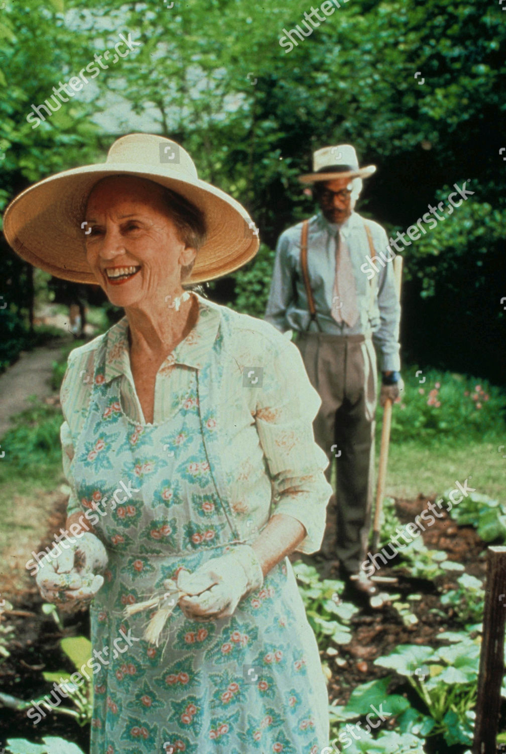 Jessica Tandy Morgan Freeman Editorial Stock Photo - Stock Image ...