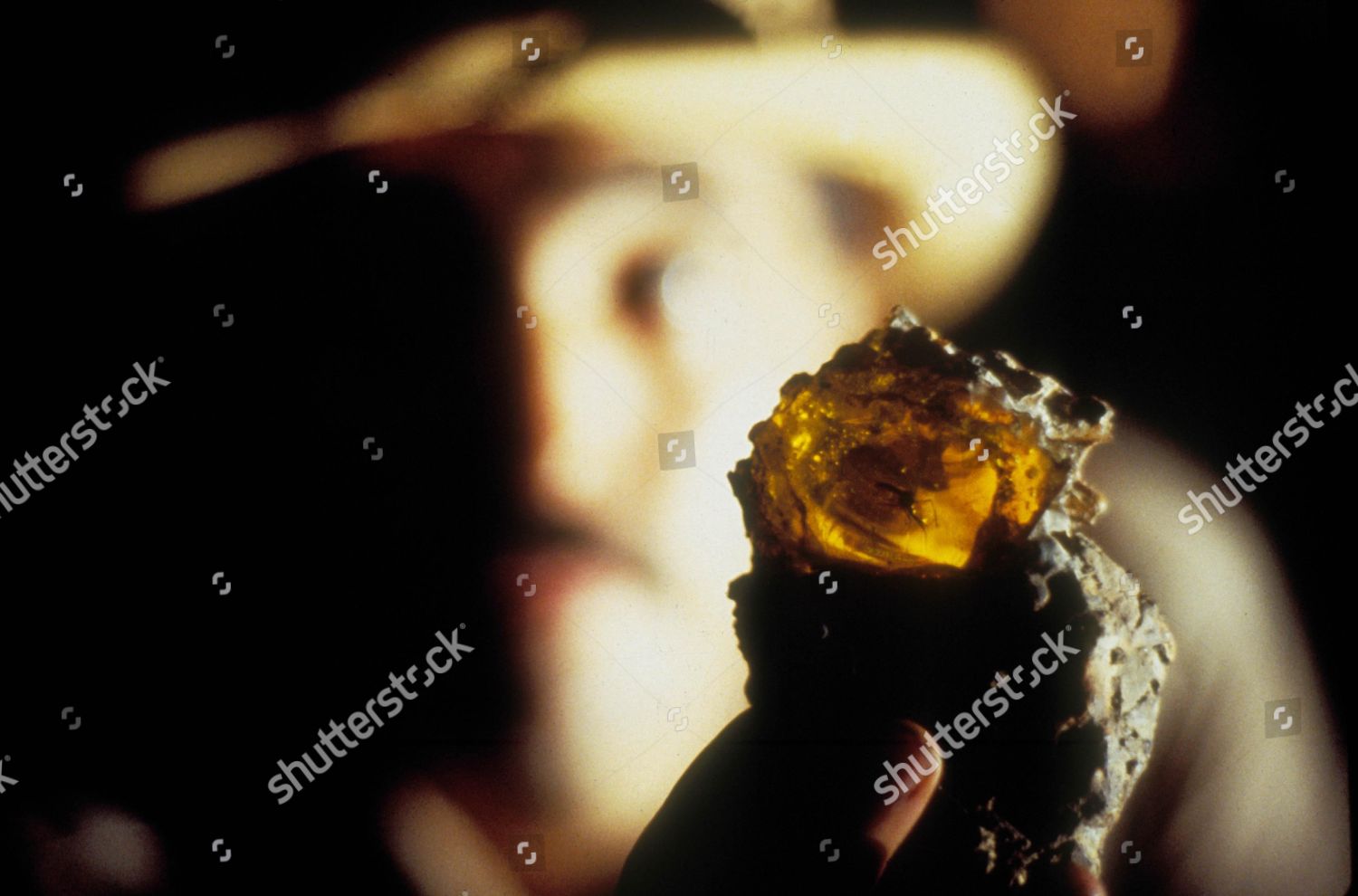 Jurassic Park 1993 Editorial Stock Photo - Stock Image | Shutterstock