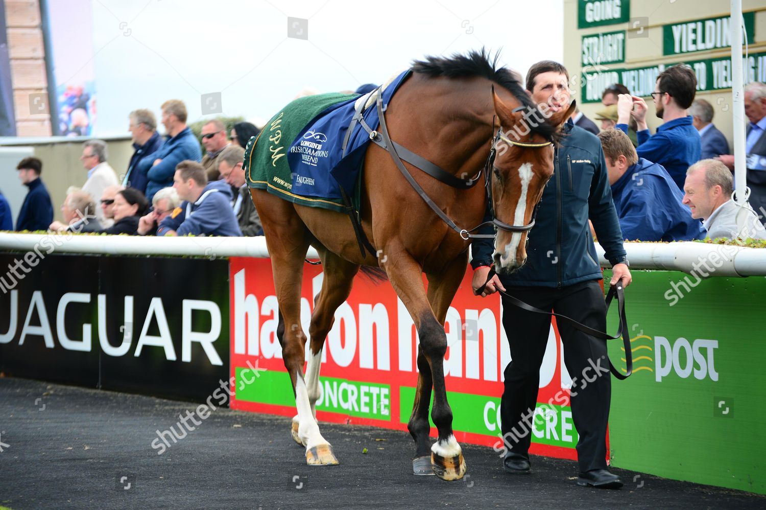 Curragh Faugheen Parades Groom John Codd Editorial Stock Photo - Stock ...