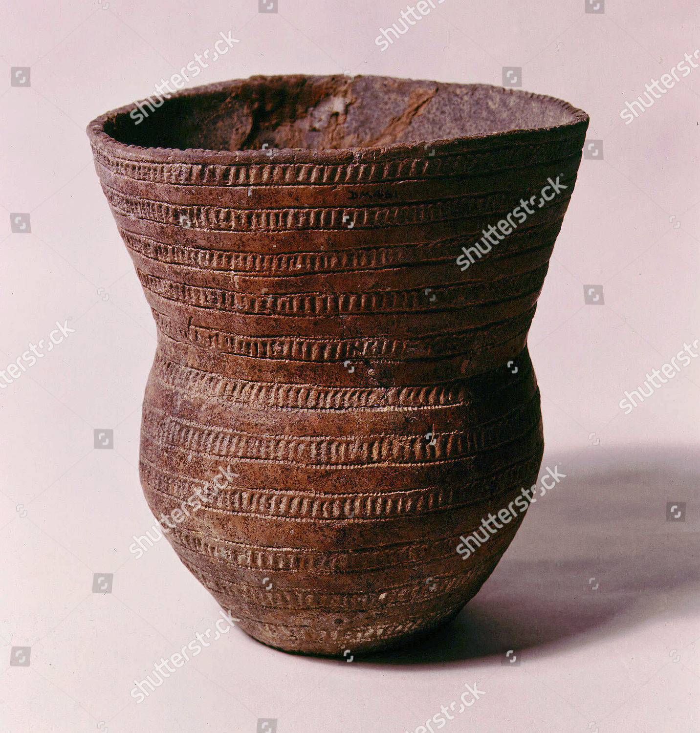 Long Necked Beaker Abdominally Convex Comb Editorial Stock Photo ...