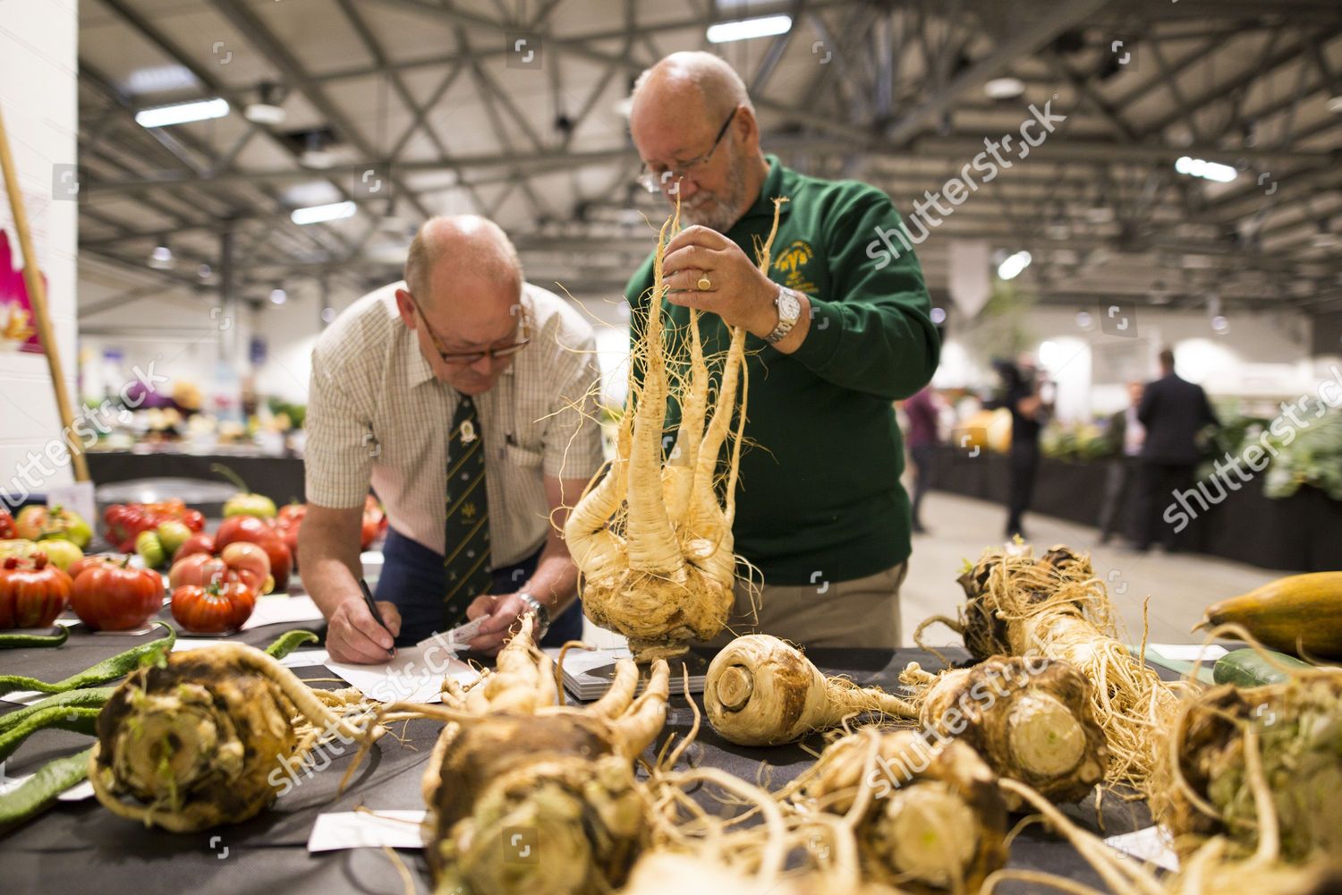Judging Begins Giant Vegetable Competition Editorial Stock Photo ...