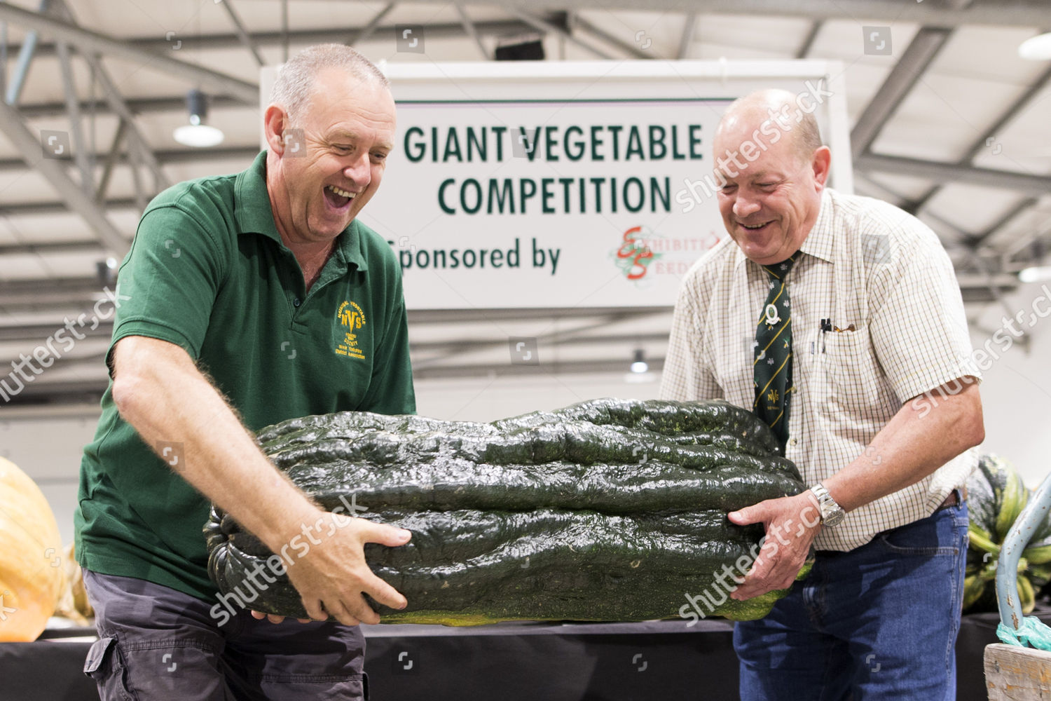 Judging Begins Giant Vegetable Competition Editorial Stock Photo ...