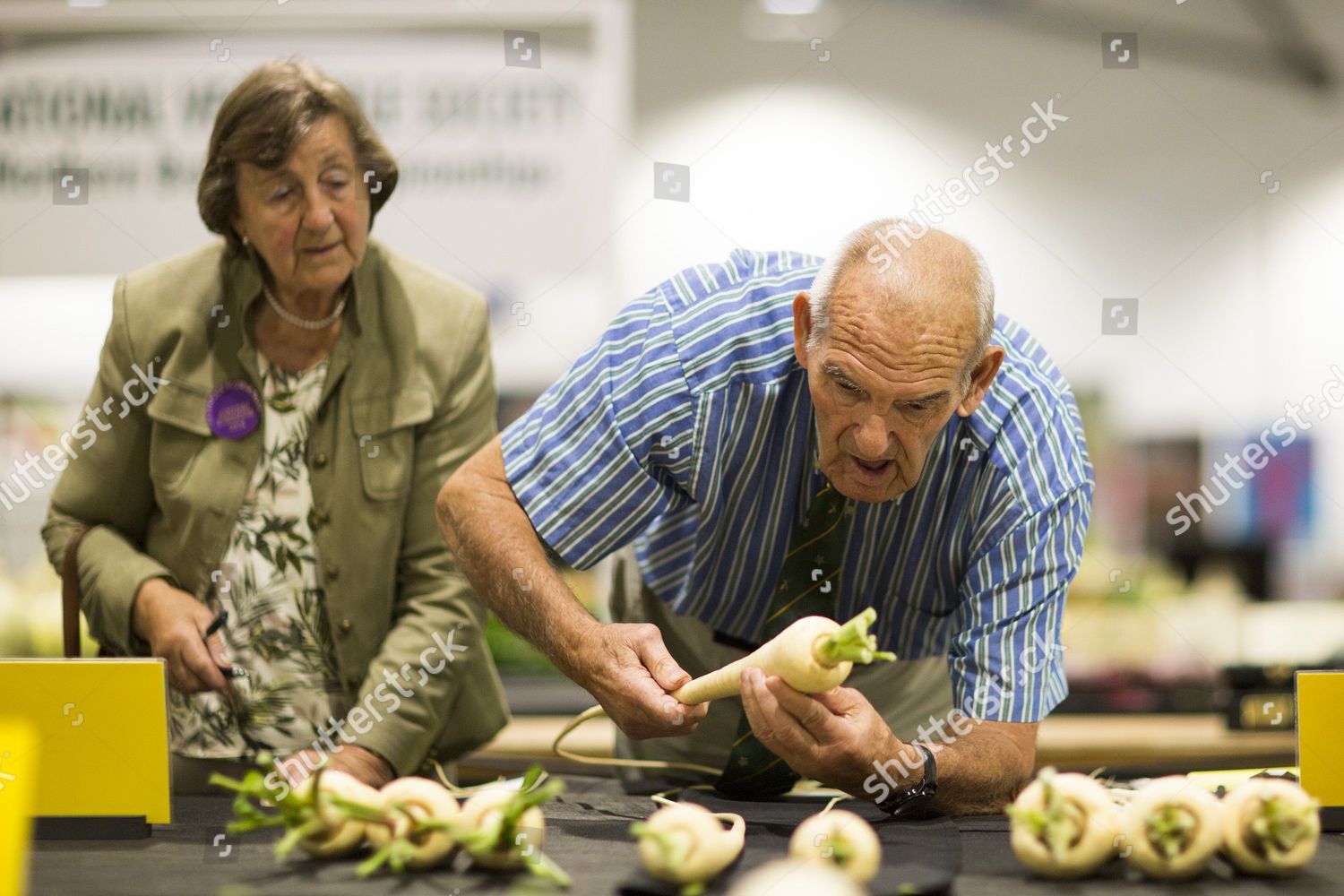 Judging Begins Giant Vegetable Competition Editorial Stock Photo ...