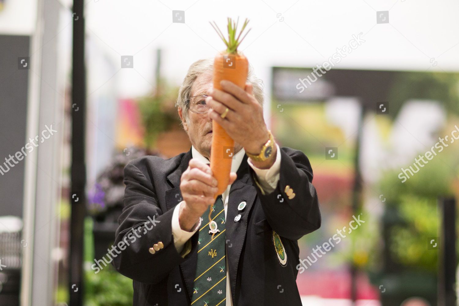 Judging Begins Giant Vegetable Competition Editorial Stock Photo ...
