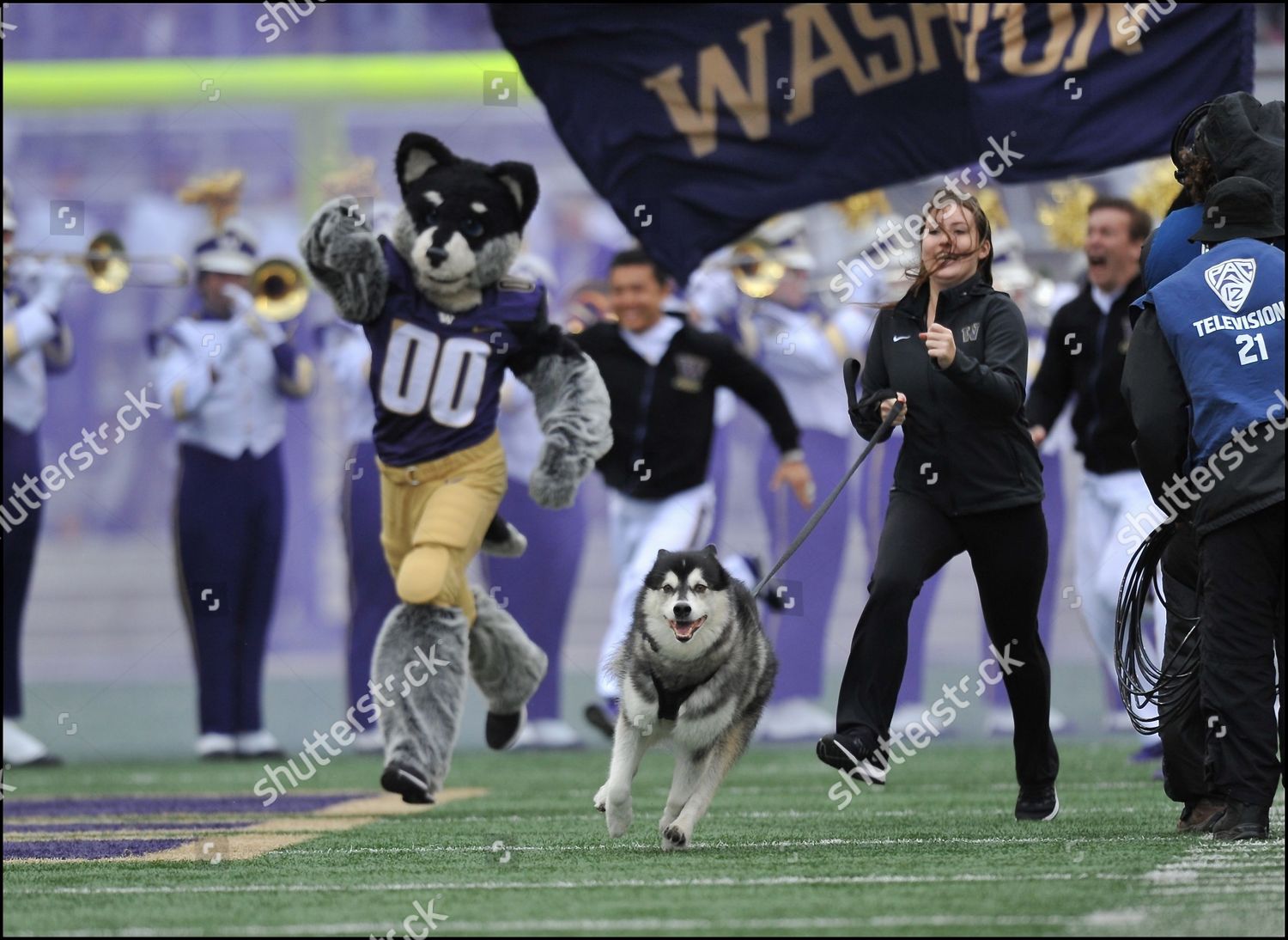University Washington Mascots Harry Dubs Lead Editorial Stock Photo ...