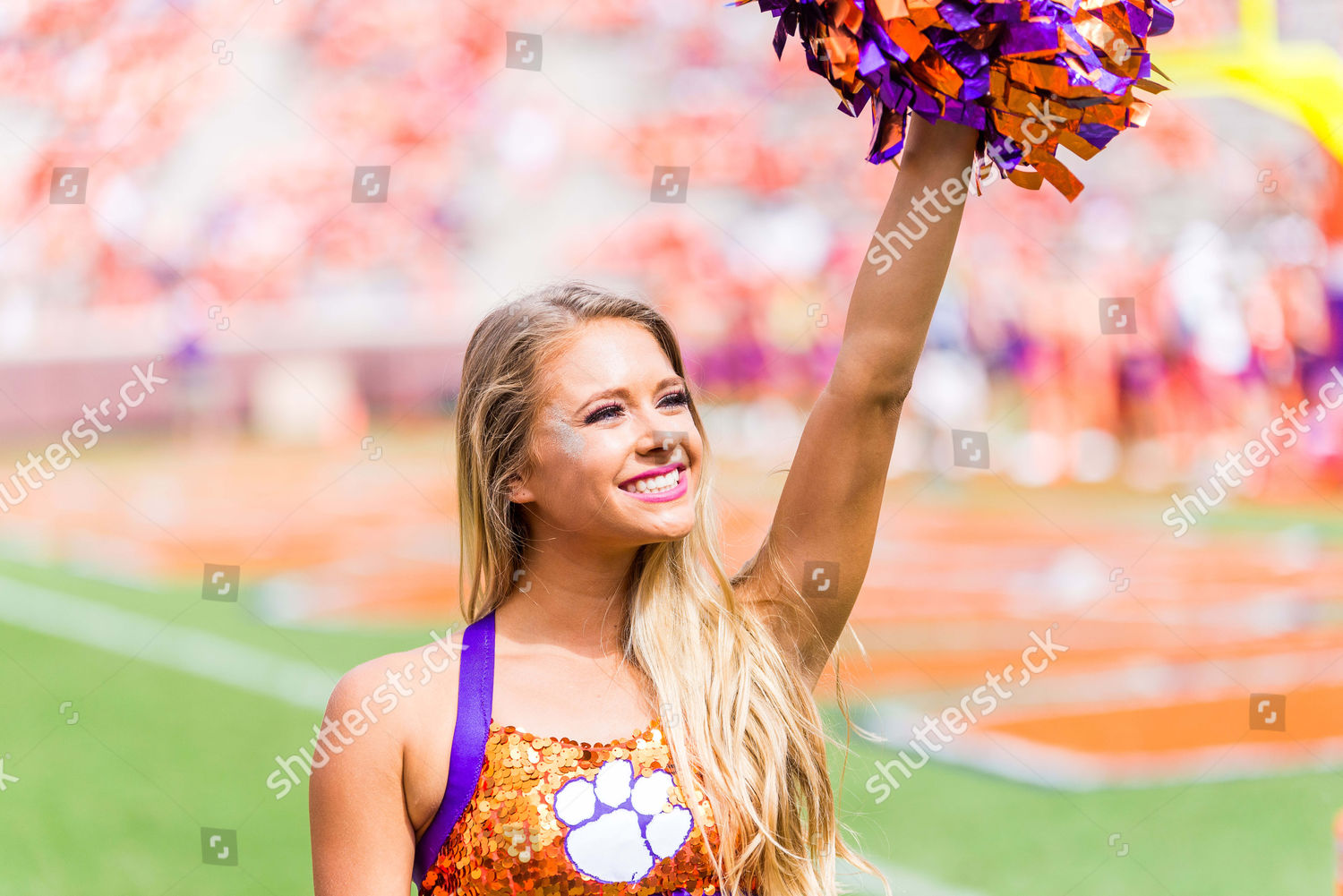 Clemson Rally Cat Editorial Stock Photo - Stock Image | Shutterstock