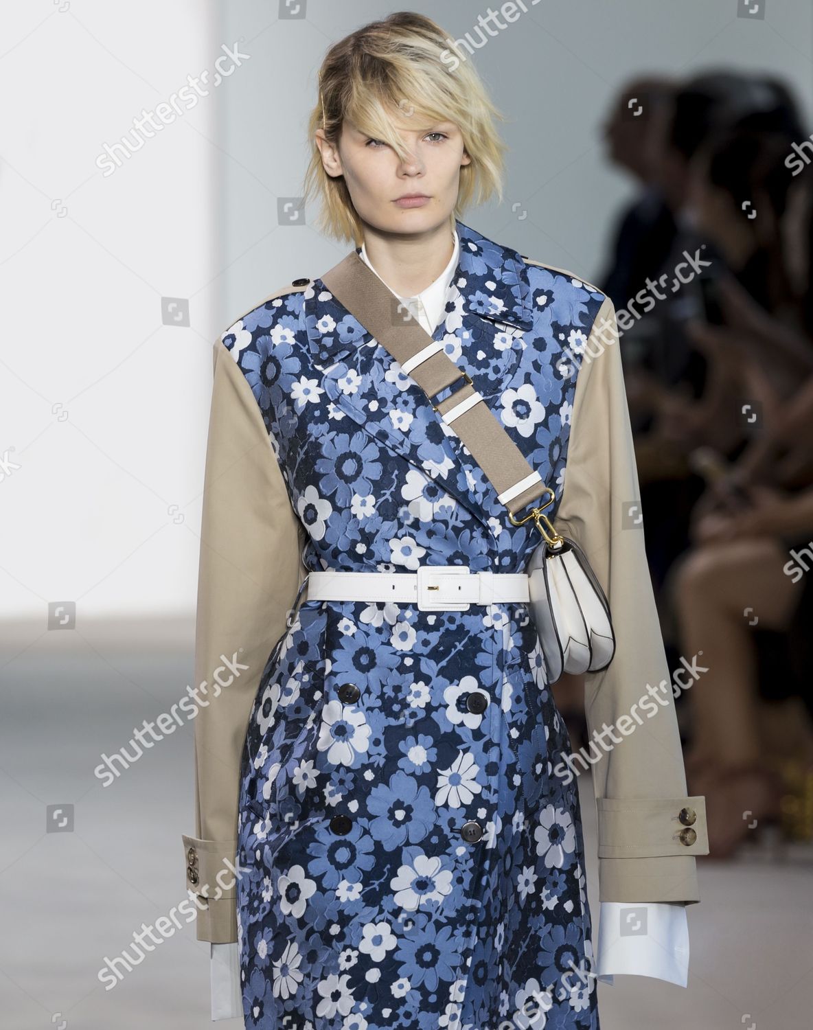 Alexandra Elizabeth On Catwalk Editorial Stock Photo - Stock Image ...