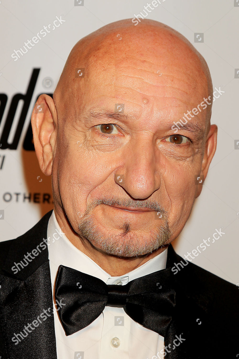 Sir Ben Kingsley Editorial Stock Photo - Stock Image | Shutterstock