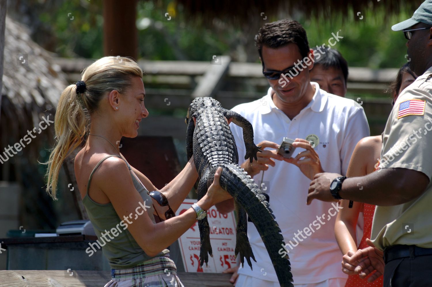 Tourist Poses Young Alligator Gator Park Editorial Stock Photo - Stock ...