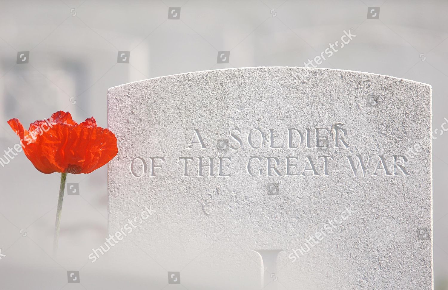Poppy Gravestone Serre Road No2 Cemetery Editorial Stock Photo - Stock ...