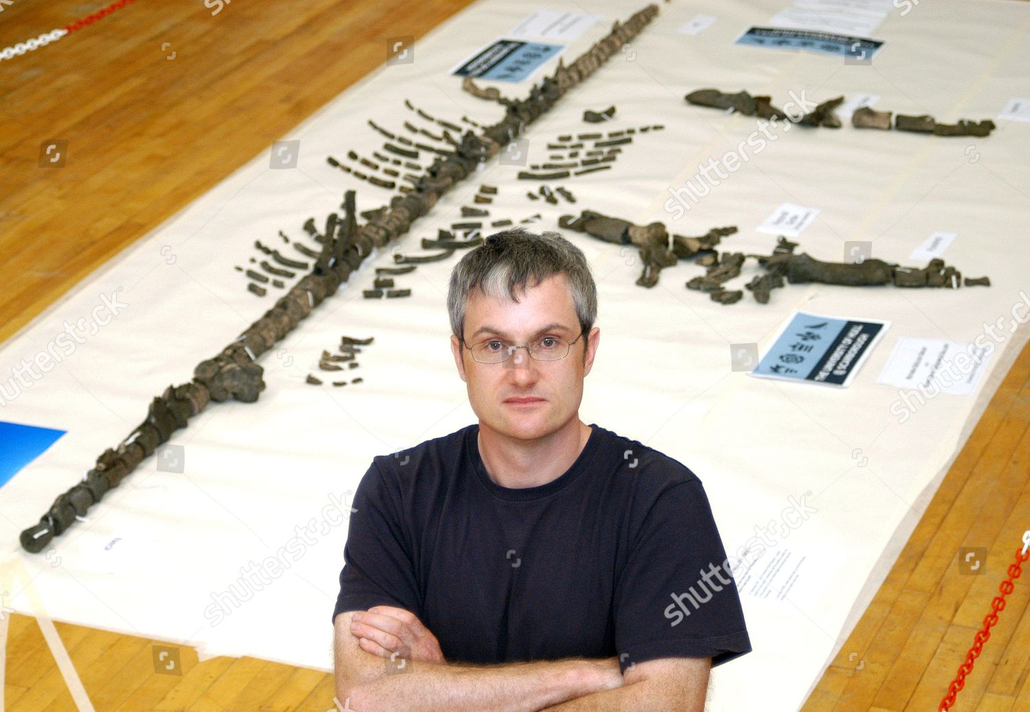 Nigel Armstrong Who Discovered Skeleton First Editorial Stock Photo ...