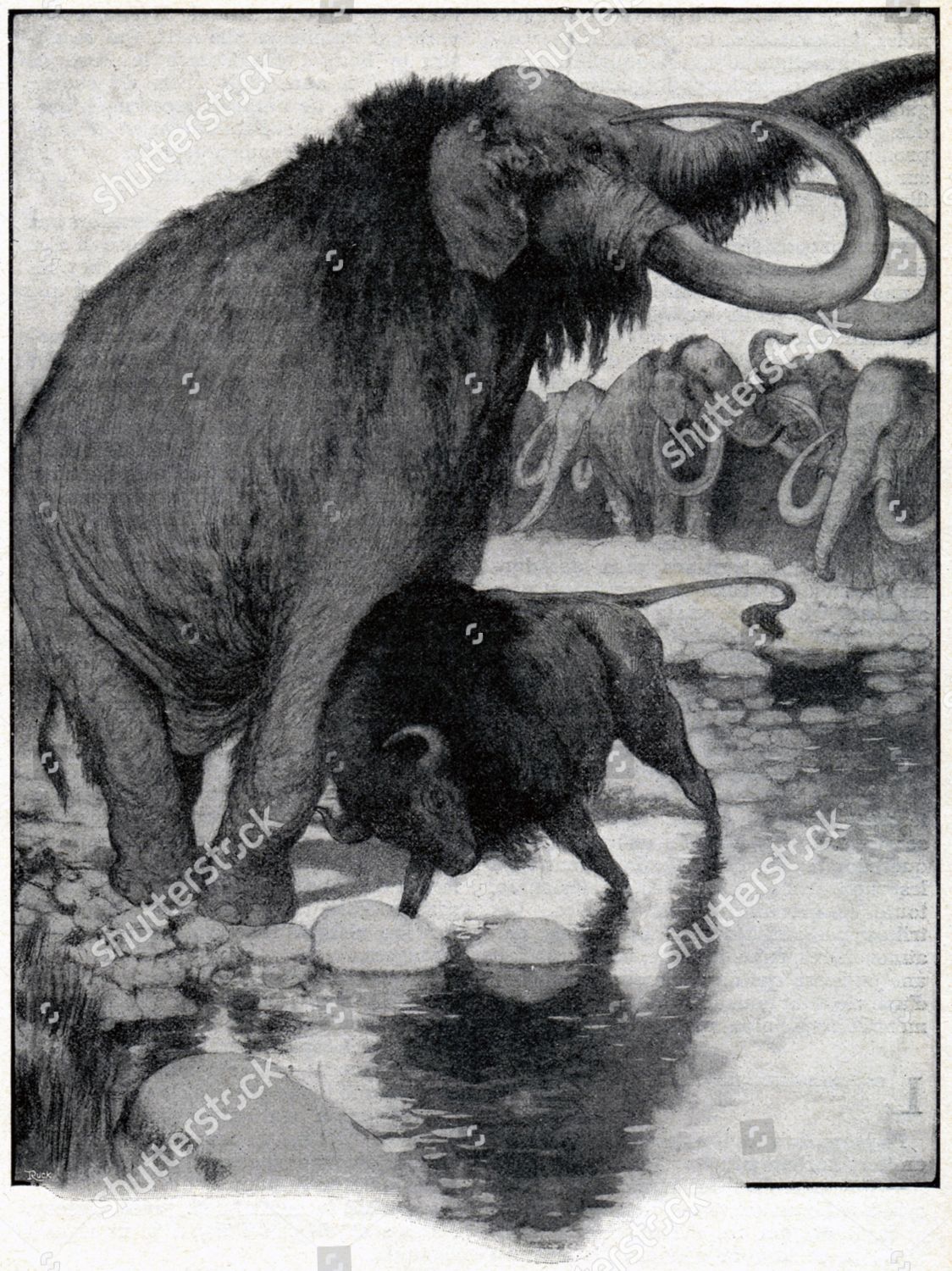Fight Buffalo Mammoth Illustration Novel Quest Editorial Stock Photo ...