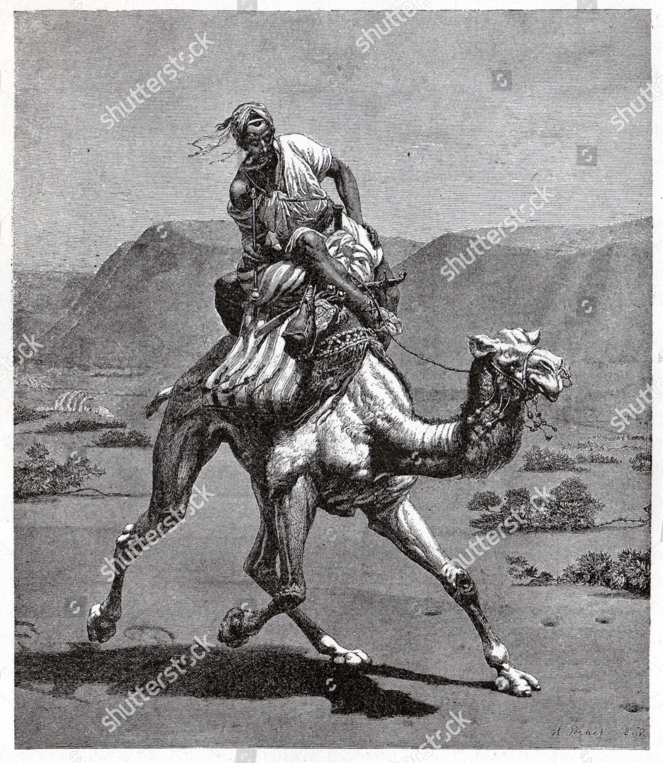 Postman Riding Dromedary Egypt Engraving After Editorial Stock Photo ...