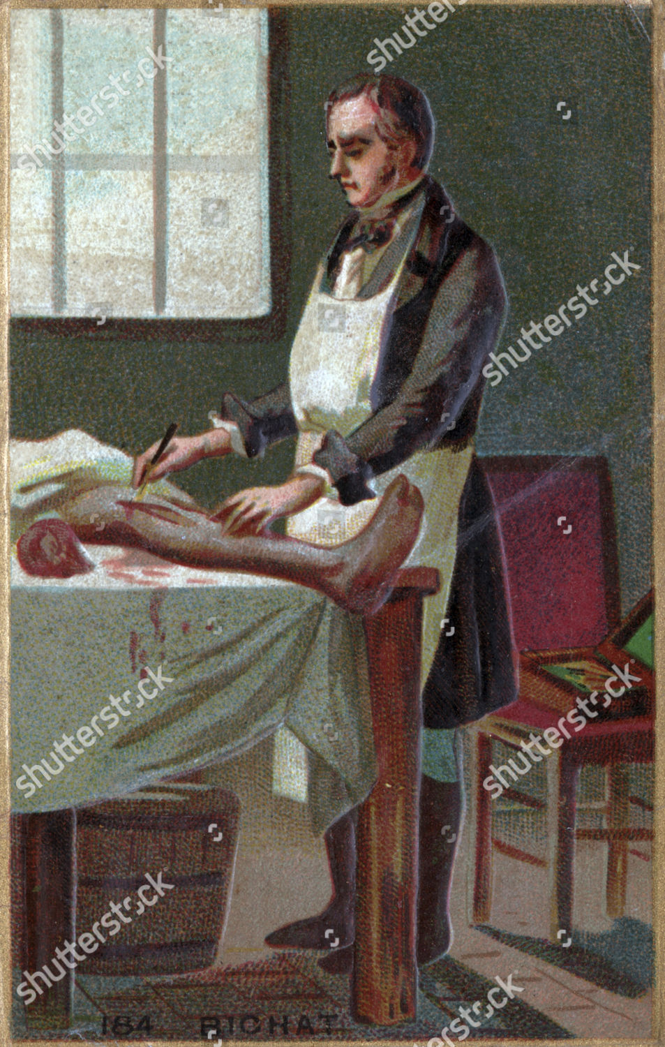 French Physician Marie Xavier Bichat 17711802 Editorial Stock Photo ...