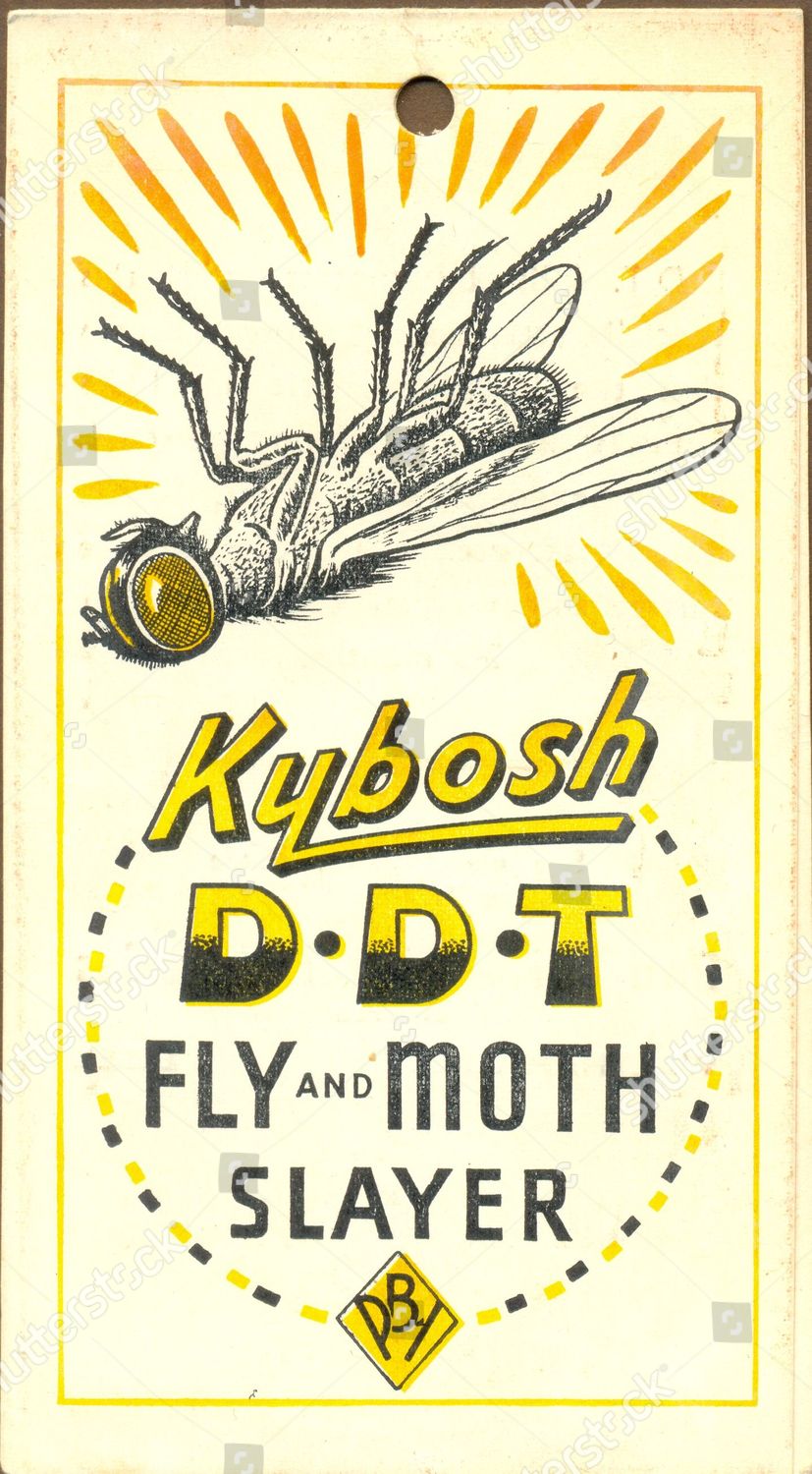 Activated Fly Card Ddt Produced By Editorial Stock Photo - Stock Image ...