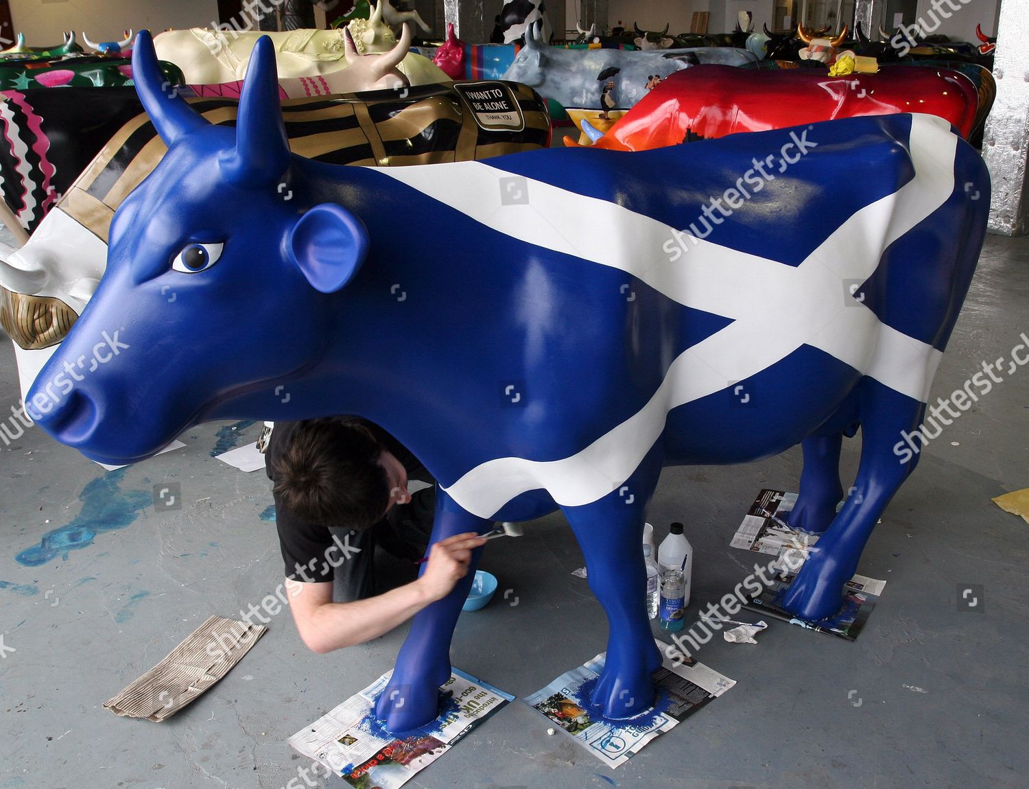 Cow Decorated Saltire Flag Scotland Cowparade Editorial Stock Photo ...