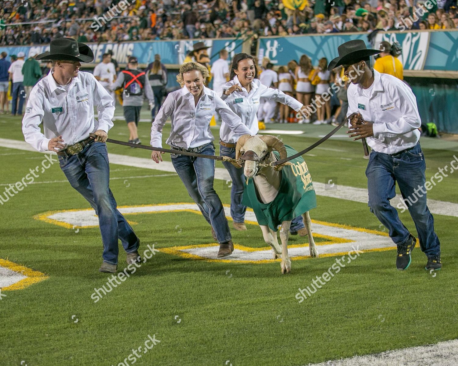 Cam Ram Running End Zone After Editorial Stock Photo - Stock Image ...