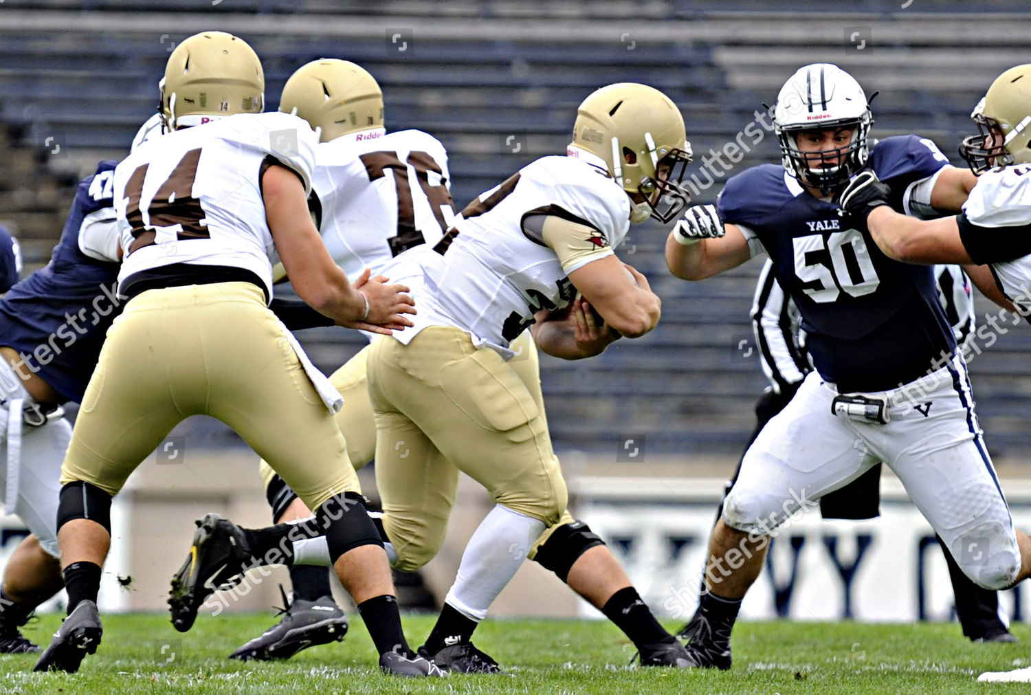 Lehigh Quarterback Number 14 Brad Mayes Editorial Stock Photo - Stock ...