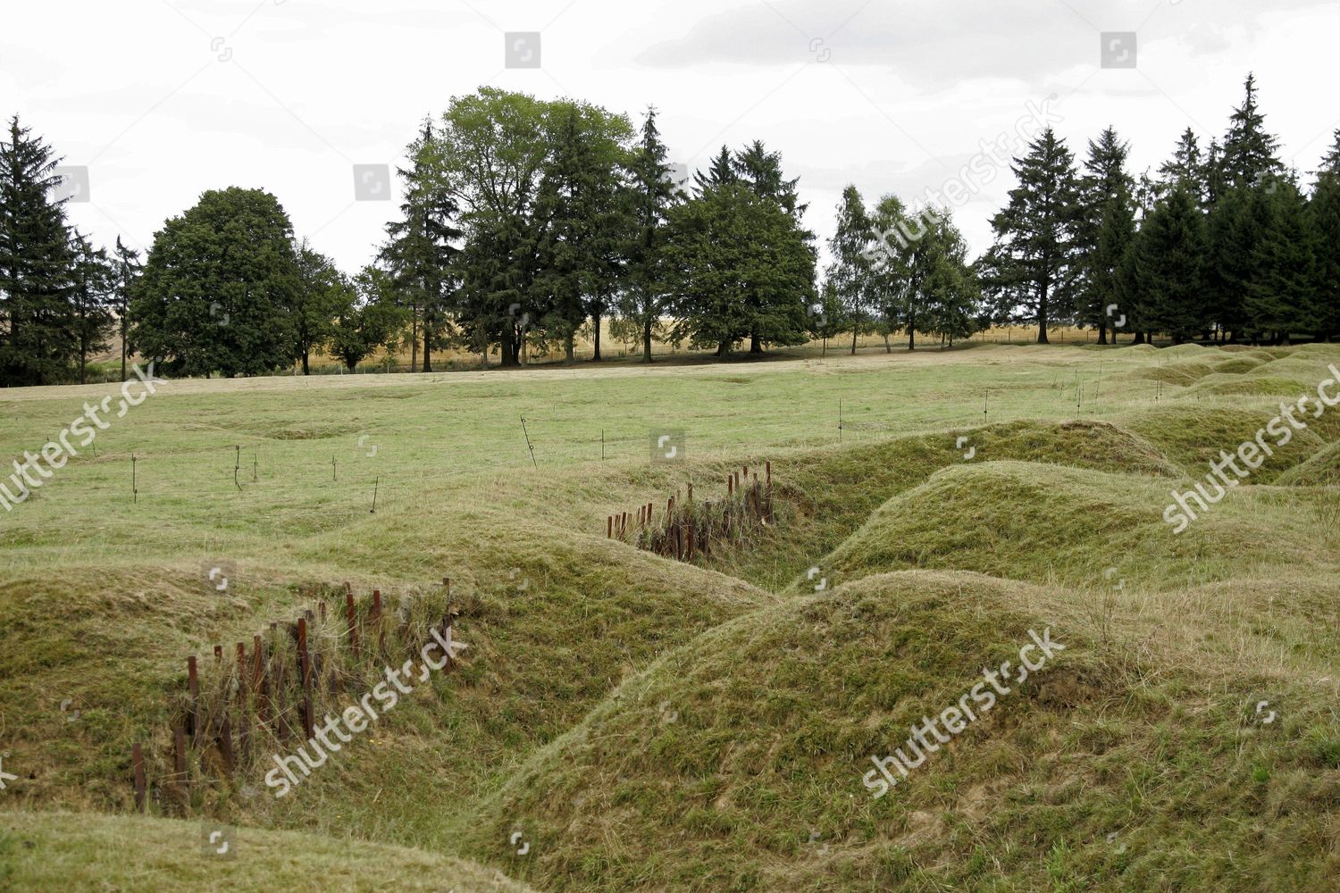 World War 1 Trenches Battle Fields Editorial Stock Photo - Stock Image ...