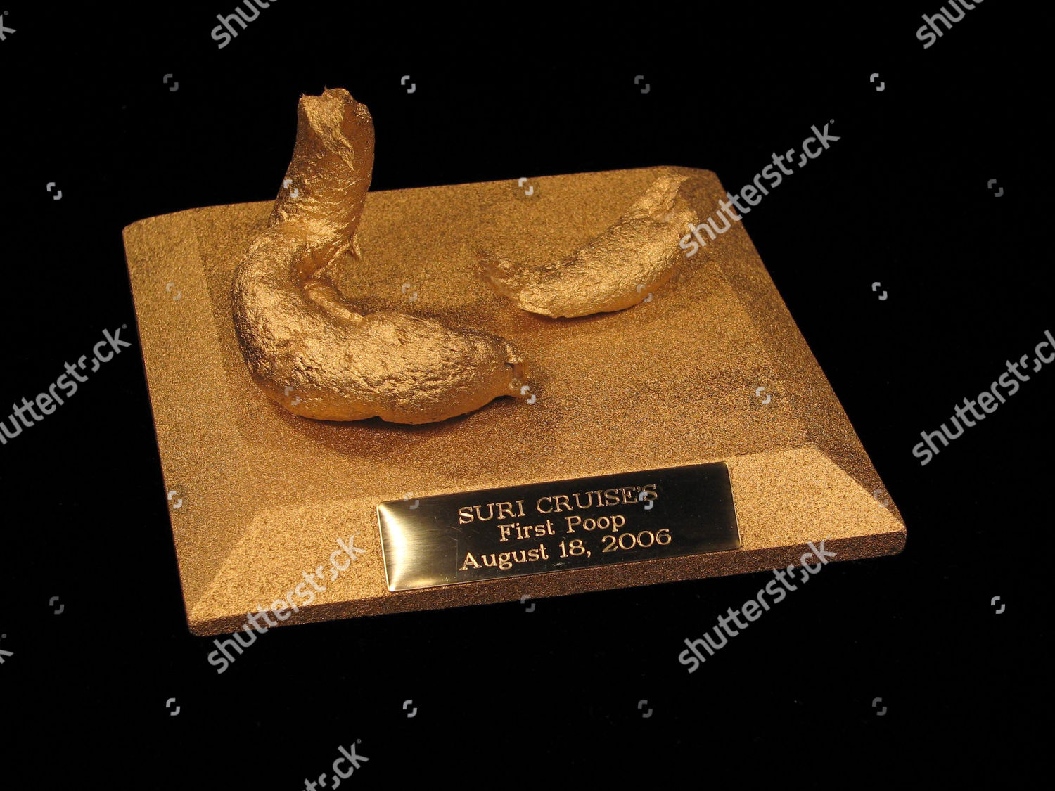 First Poop Bronzed On Ebay Charity Editorial Stock Photo - Stock Image ...