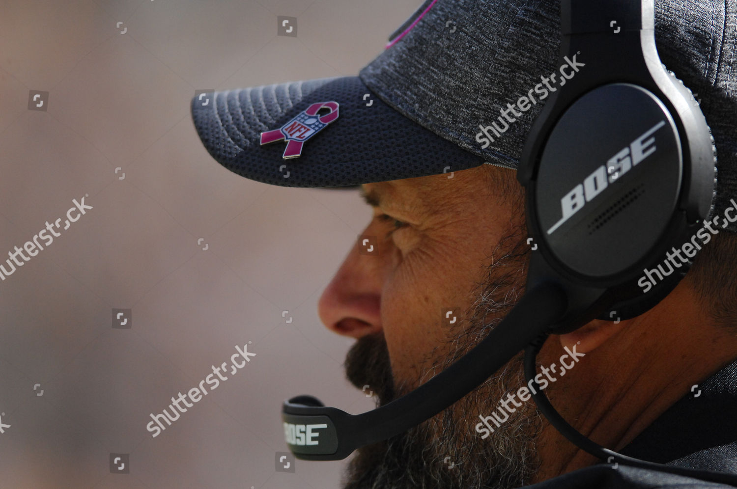 Th Coach Todd Haley During New Editorial Stock Photo - Stock Image ...