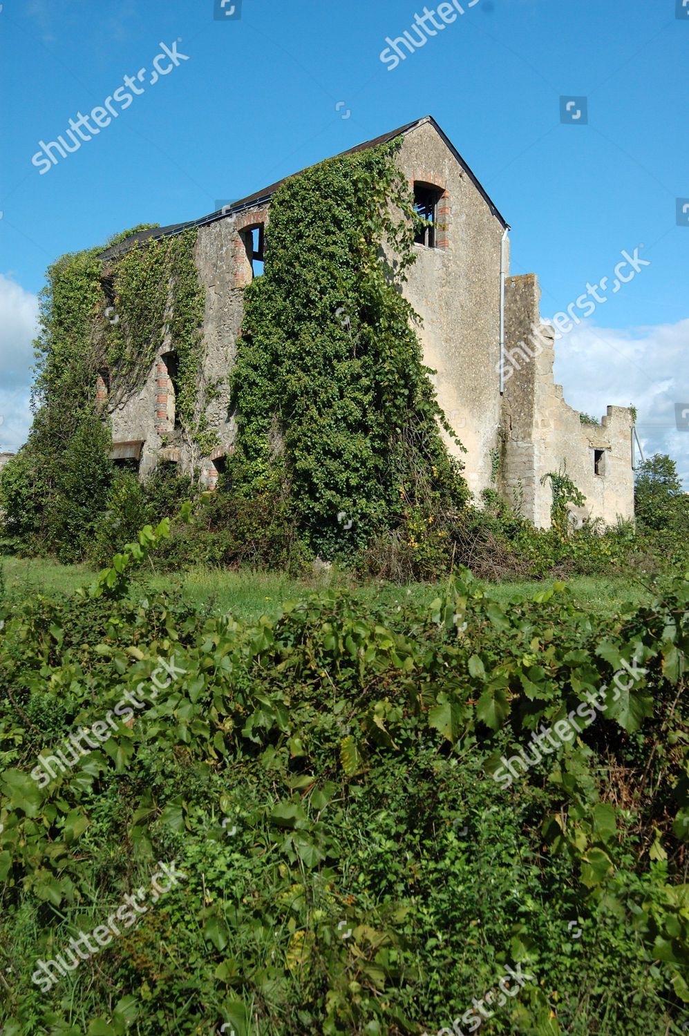 Large Run Down Ruin Building Covered Editorial Stock Photo - Stock ...