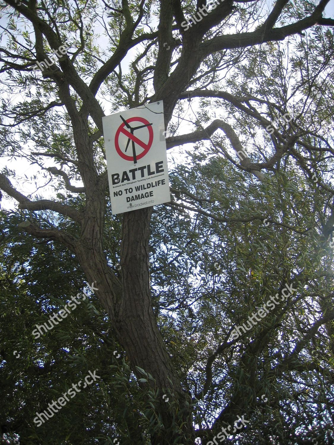 Placard Fixed Tree Protesting Against Wind Editorial Stock Photo ...