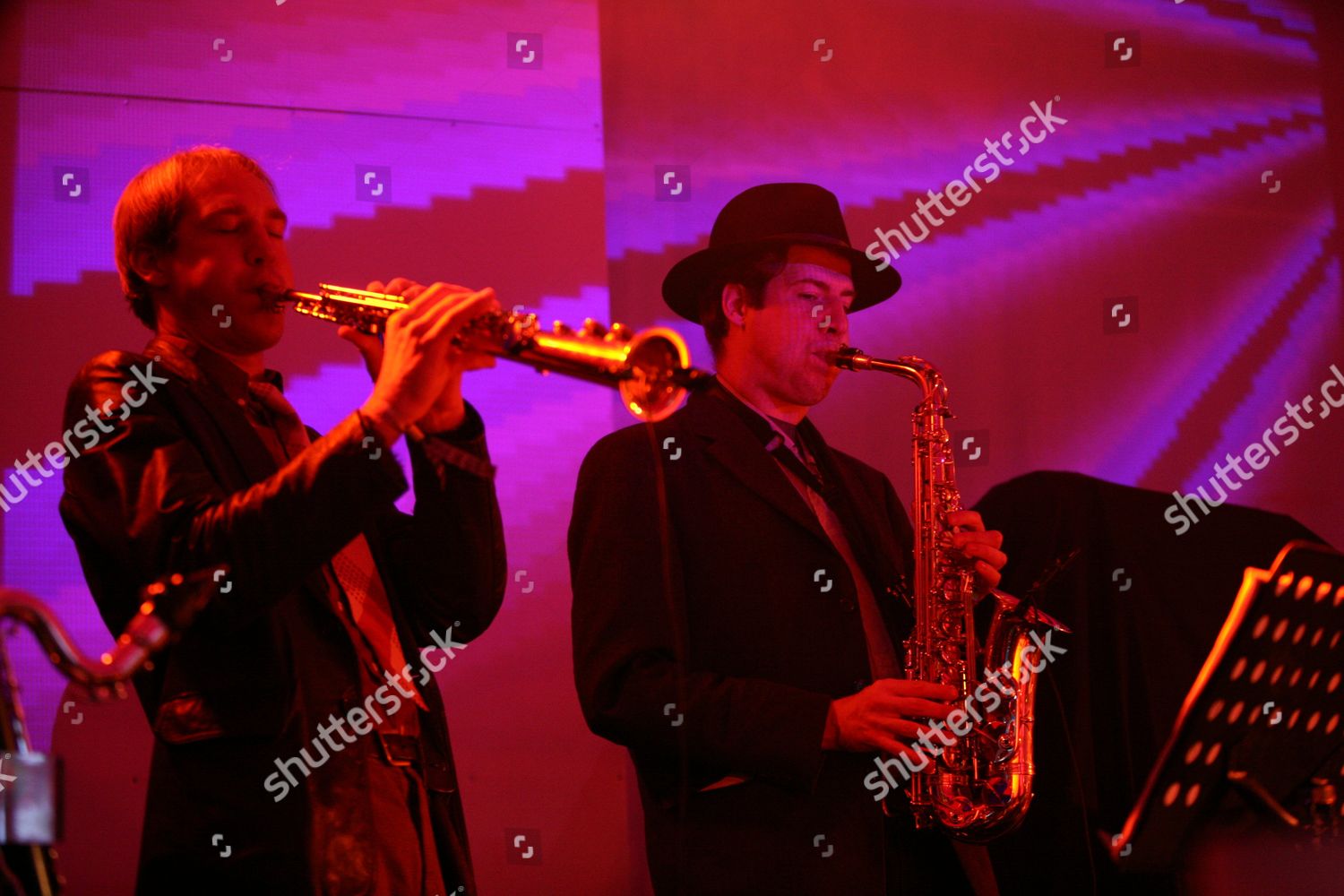 Guillemots Greig Stewart Editorial Stock Photo - Stock Image | Shutterstock