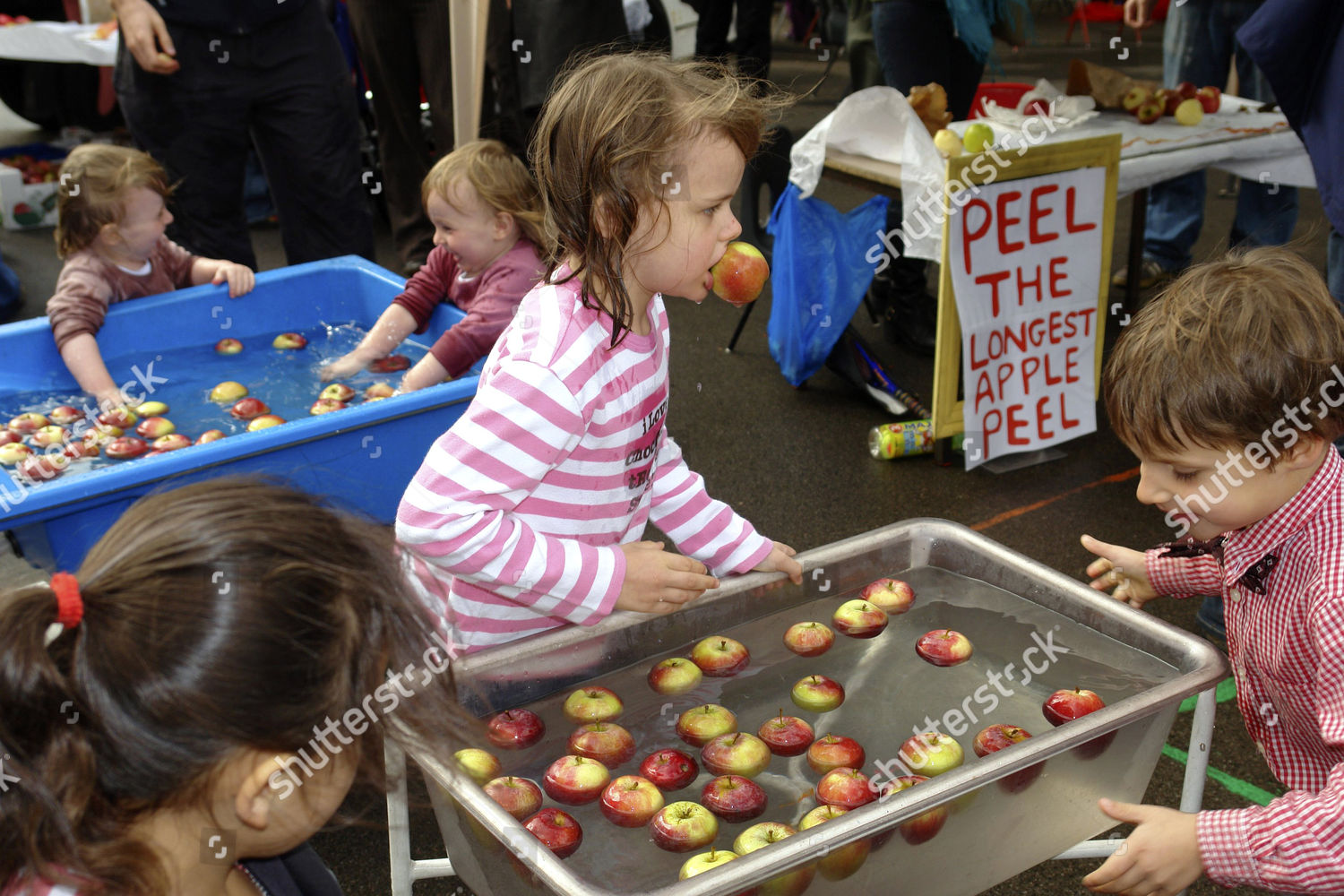 Bobbing Apples Editorial Stock Photo - Stock Image | Shutterstock