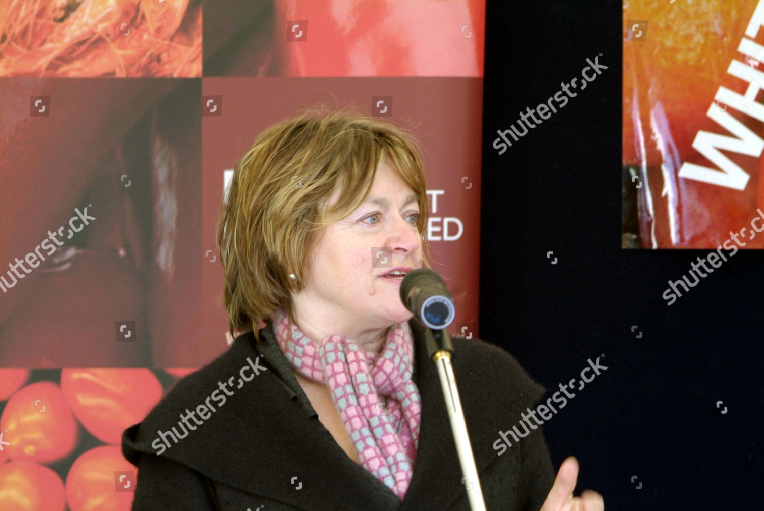 Sheila Dillon Former Channel 4 Food Editorial Stock Photo - Stock Image ...