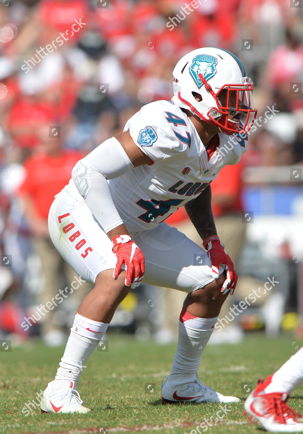 New Mexico Lobos Linebacker Austin Ocasio Editorial Stock Photo - Stock ...