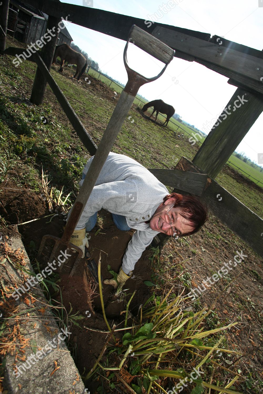 Rodeo Clown Randy Mcmullen Aka Shorty Editorial Stock Photo - Stock ...