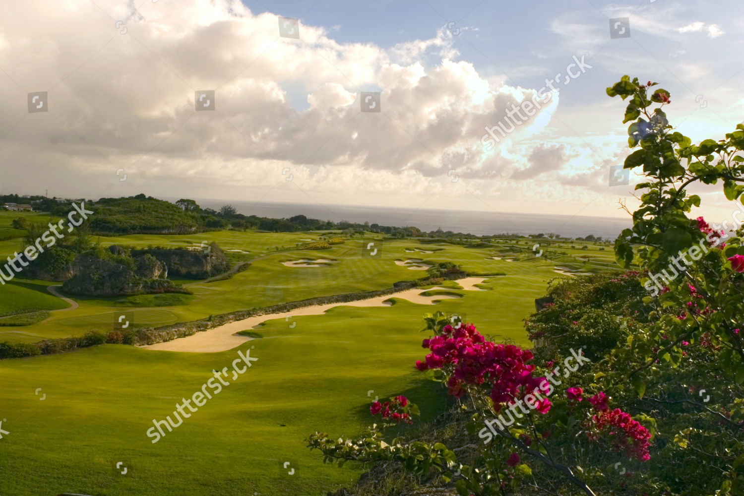 Famous Green Monkey Golf Course Designed Editorial Stock Photo - Stock ...