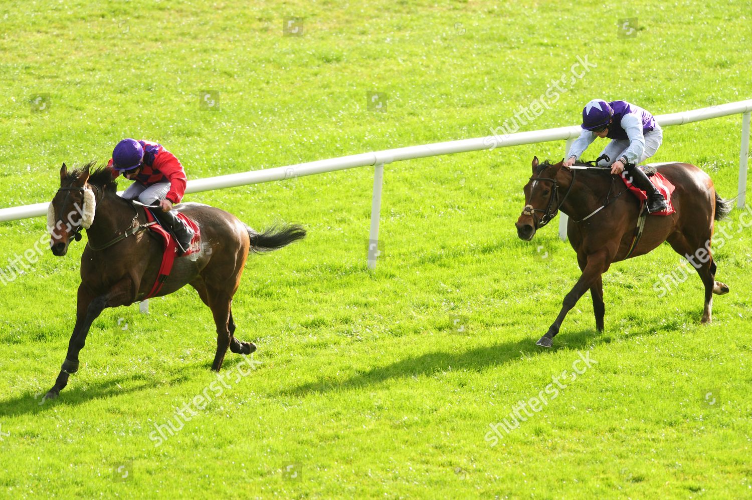 Gowran Dont Quit Rory Cleary Win Editorial Stock Photo - Stock Image ...