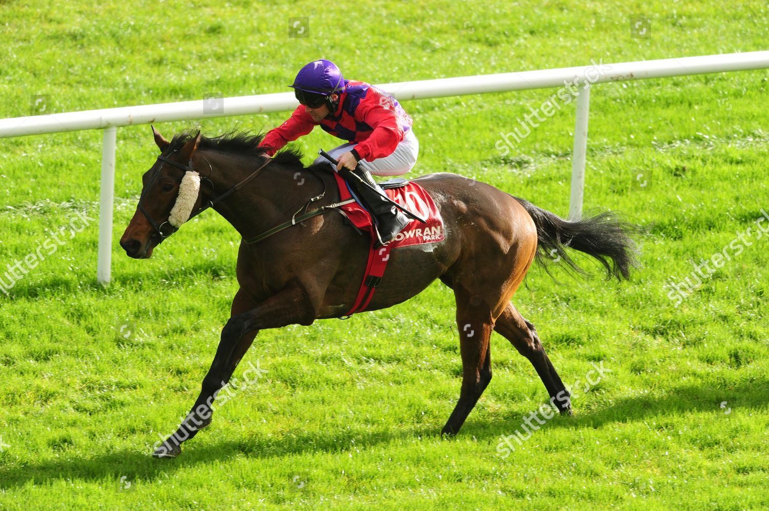 Gowran Dont Quit Rory Cleary Win Editorial Stock Photo - Stock Image ...
