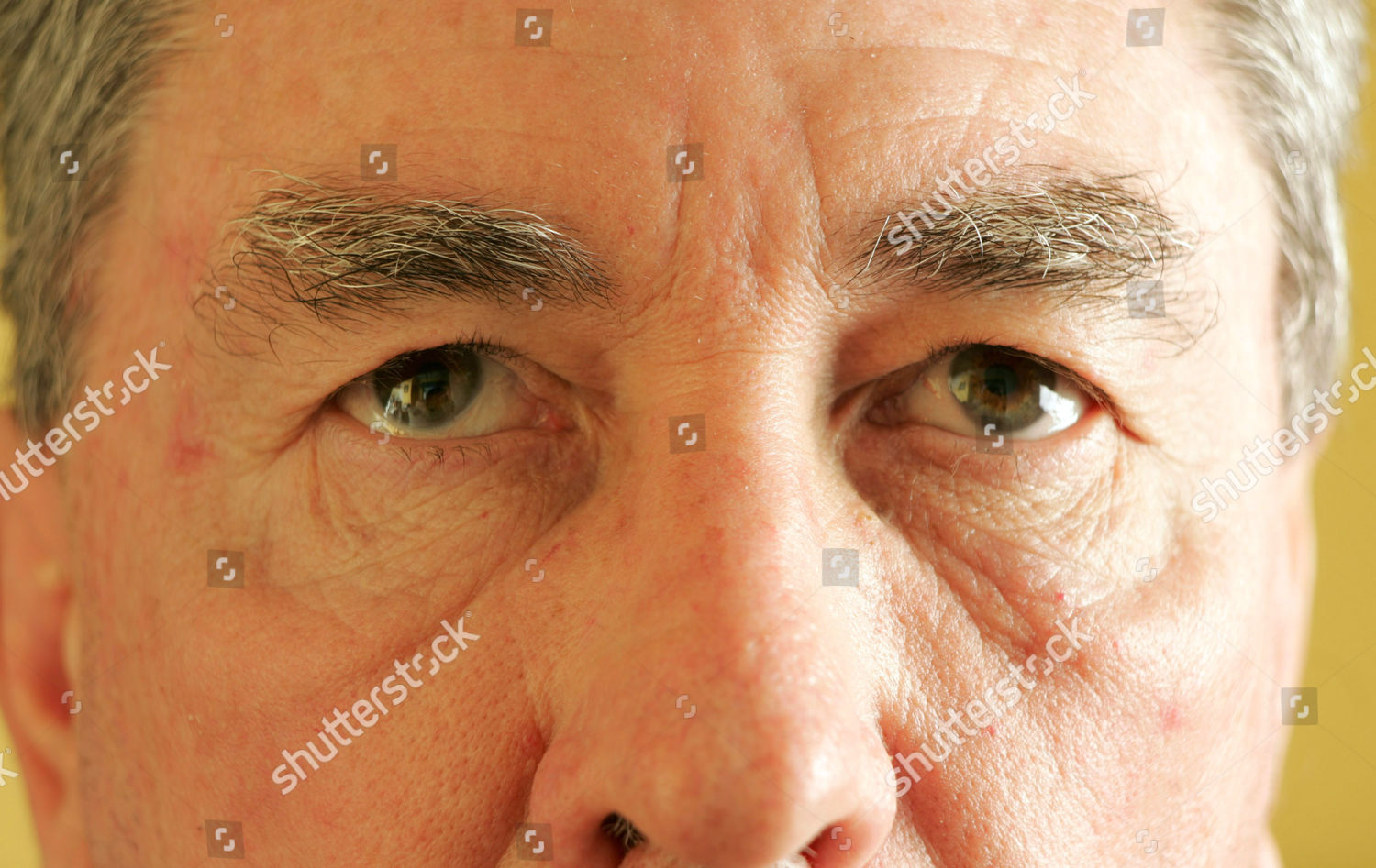 Terry Byland Blind Man Who Has Editorial Stock Photo - Stock Image ...